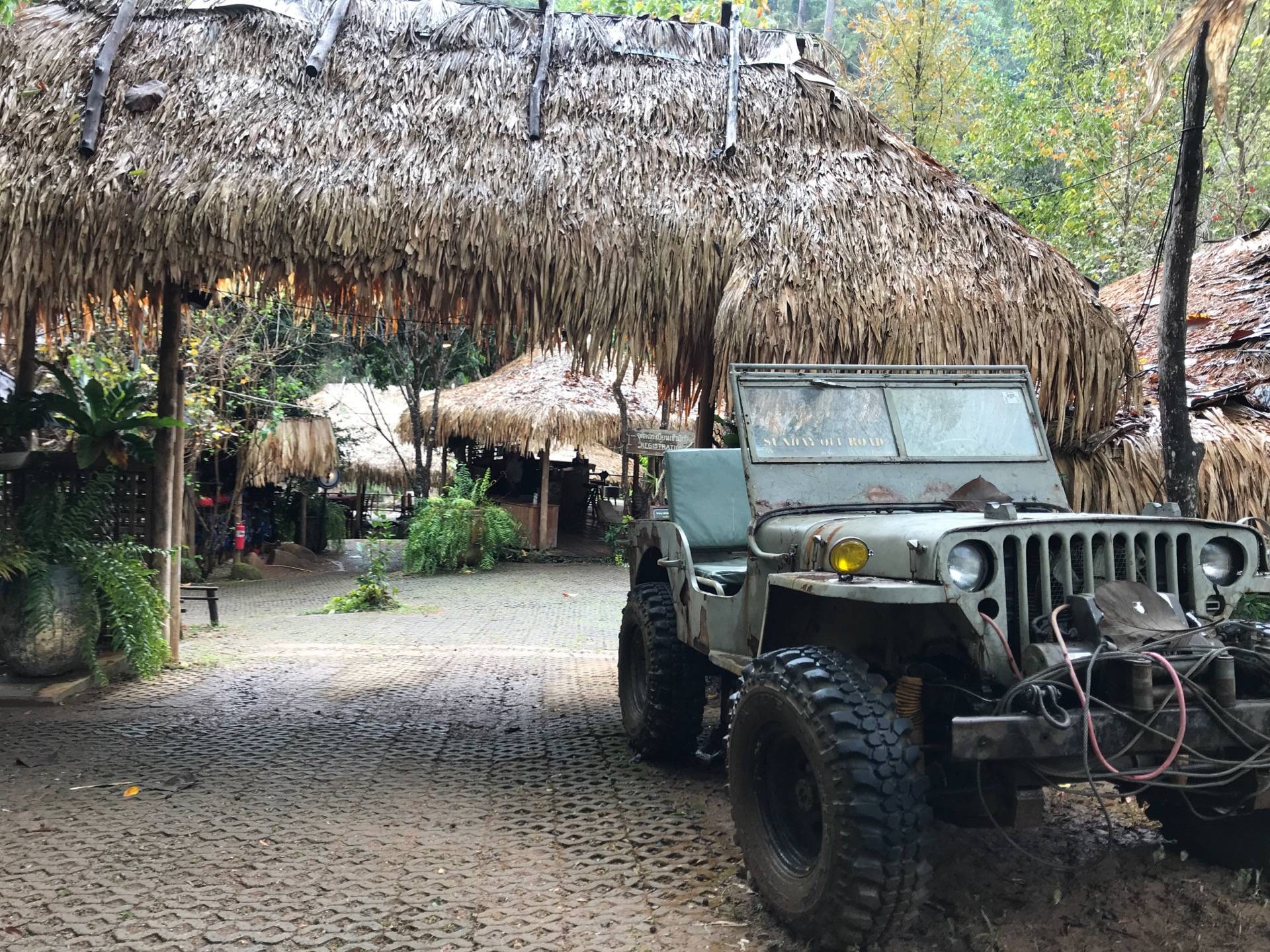 รูป Stay Wild & Cafe