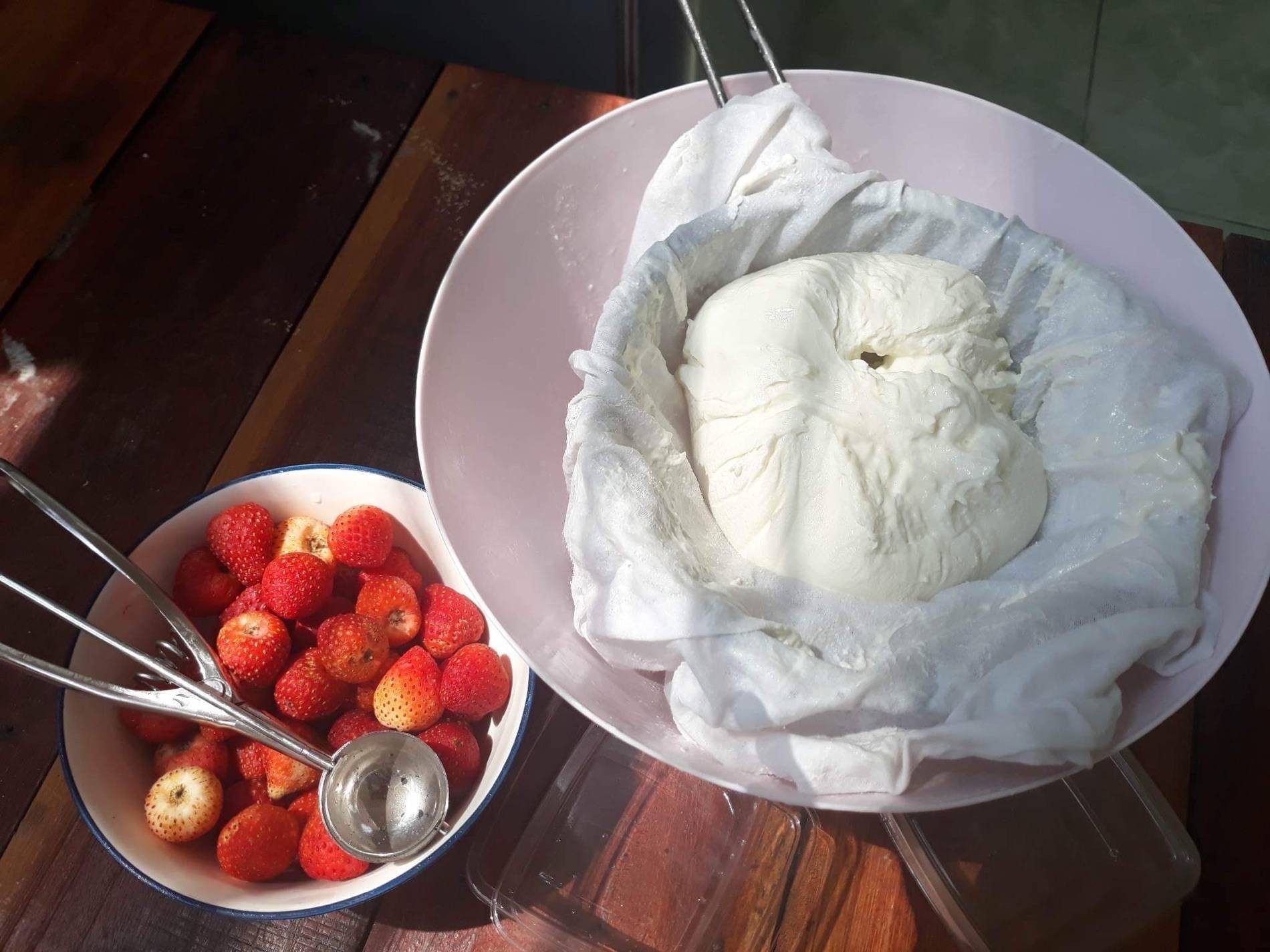 ร้าน YOYO GHURT | รีวิวร้านอาหาร