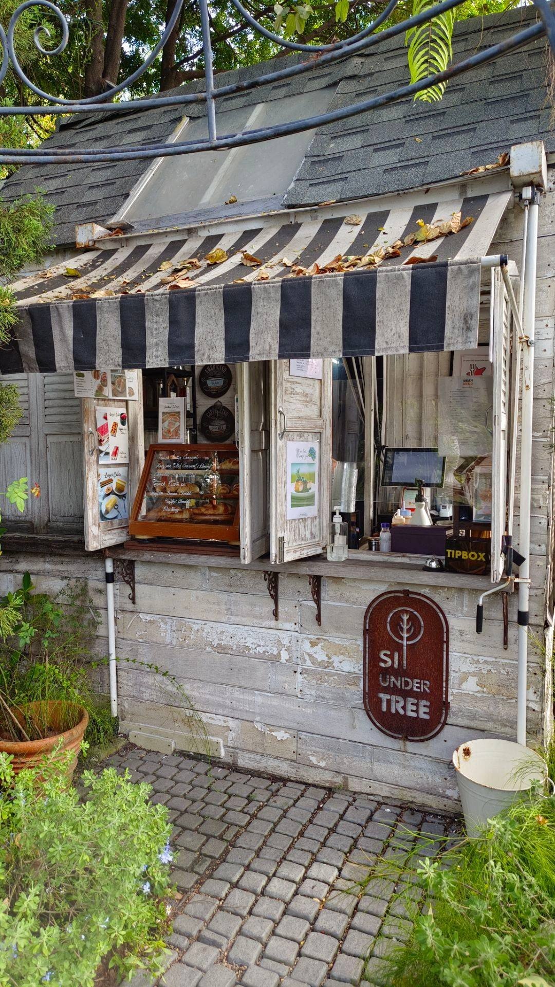 รูป SIT UNDER TREE Special Coffee & Home Roasters คู้บอน