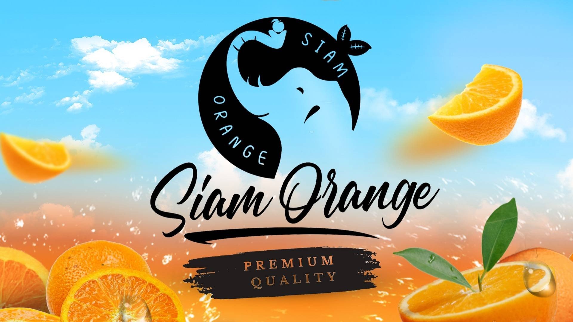 ร้าน Siam Orange วังหลังพลาซ่า | รีวิวร้านอาหาร