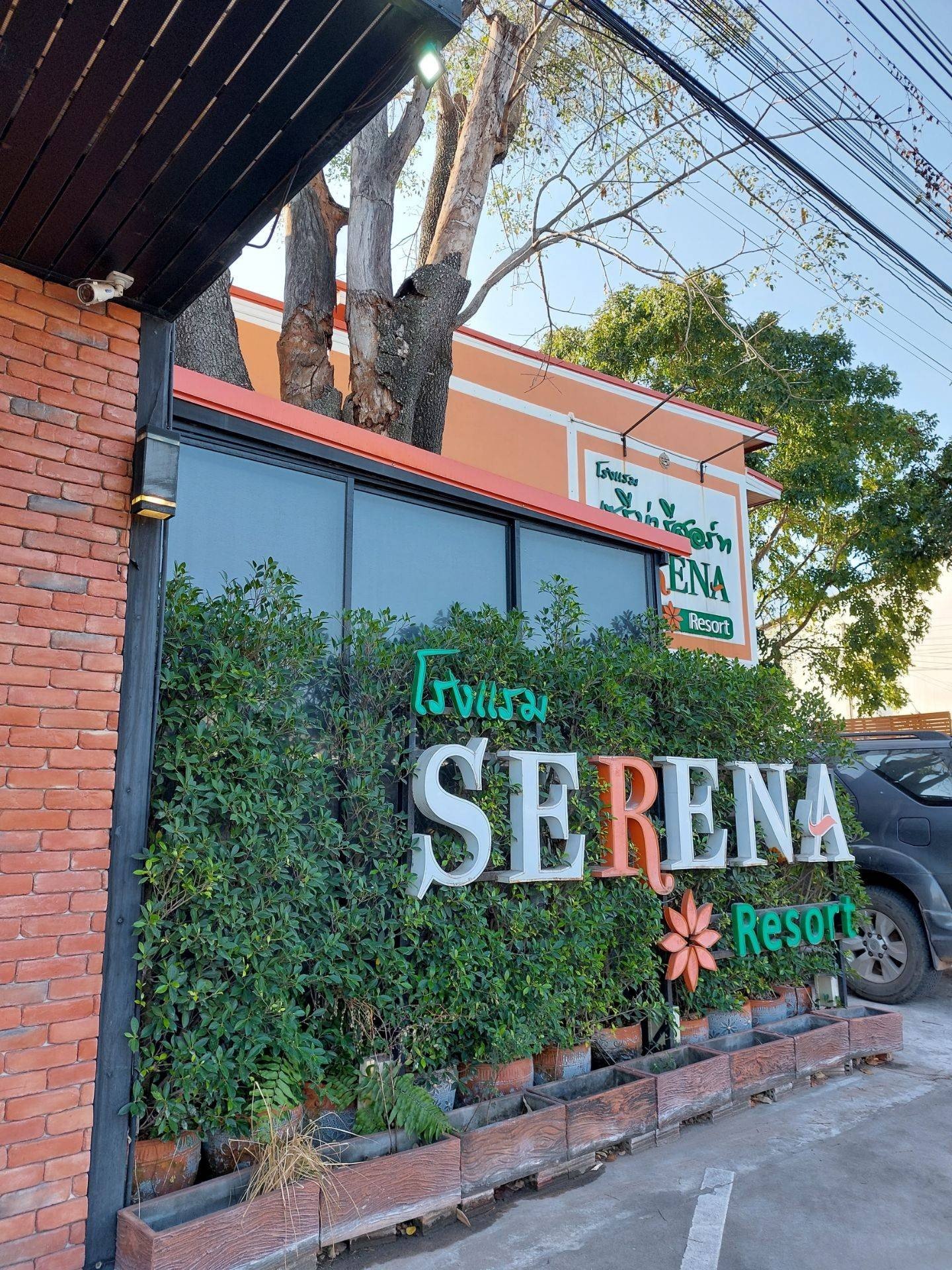 รีวิว Serena cafe - คาเฟ่เล็กๆ ข้าวมันไก่อร่อย