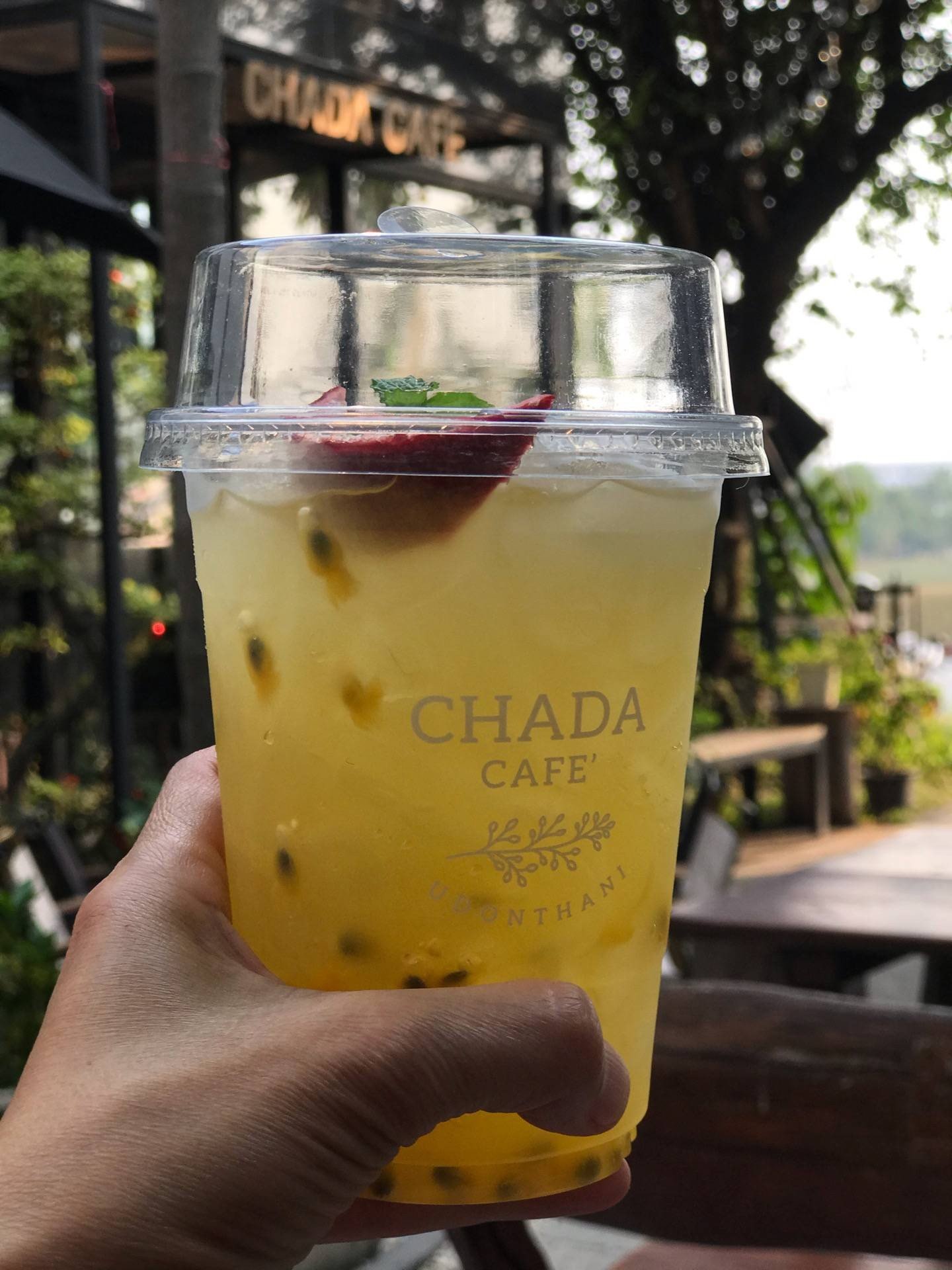 รีวิว Chada Cafe' อุดรธานี - A Refreshing Beverage - Wongnai