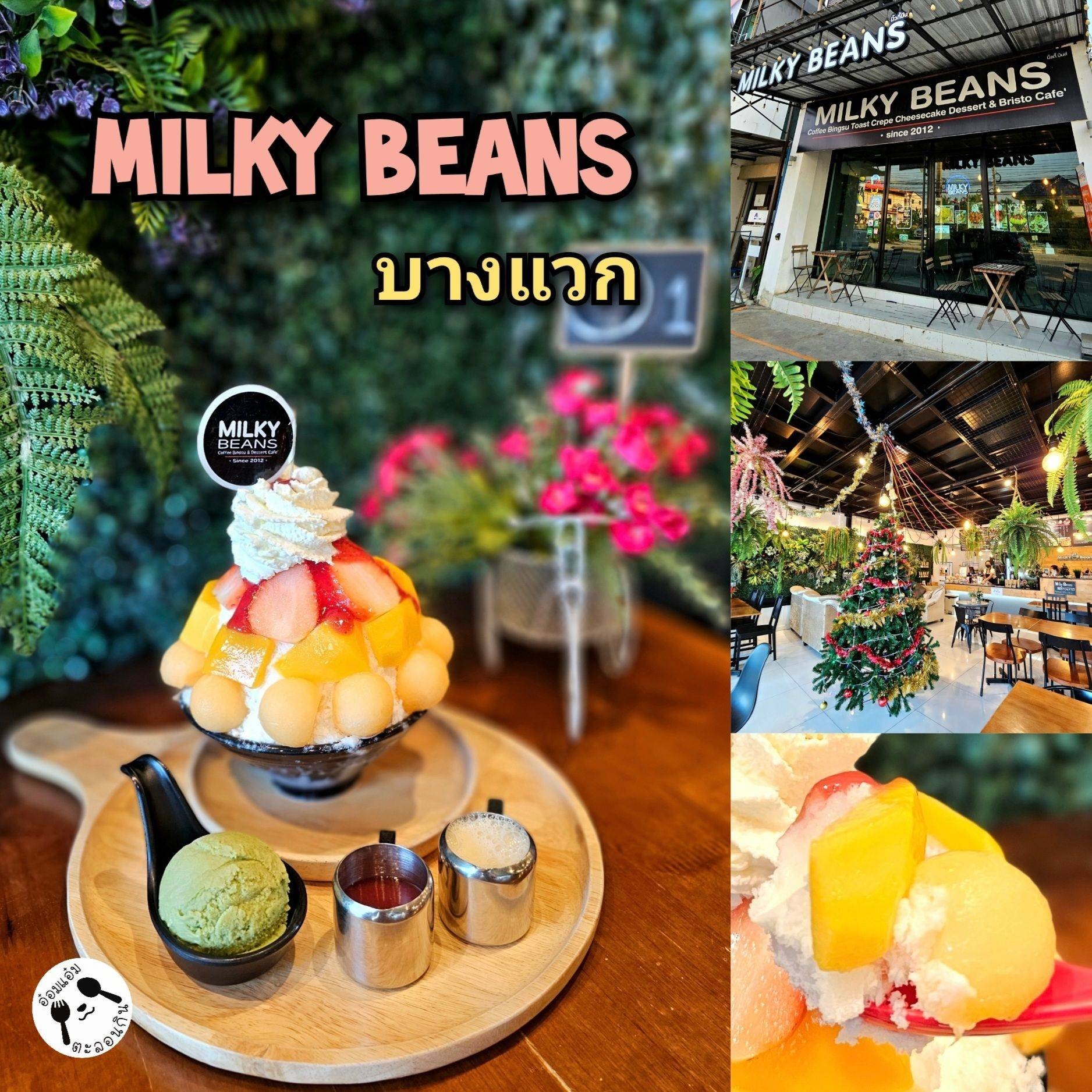 รีวิว MILKY BEANS - บิงซู บางแวก