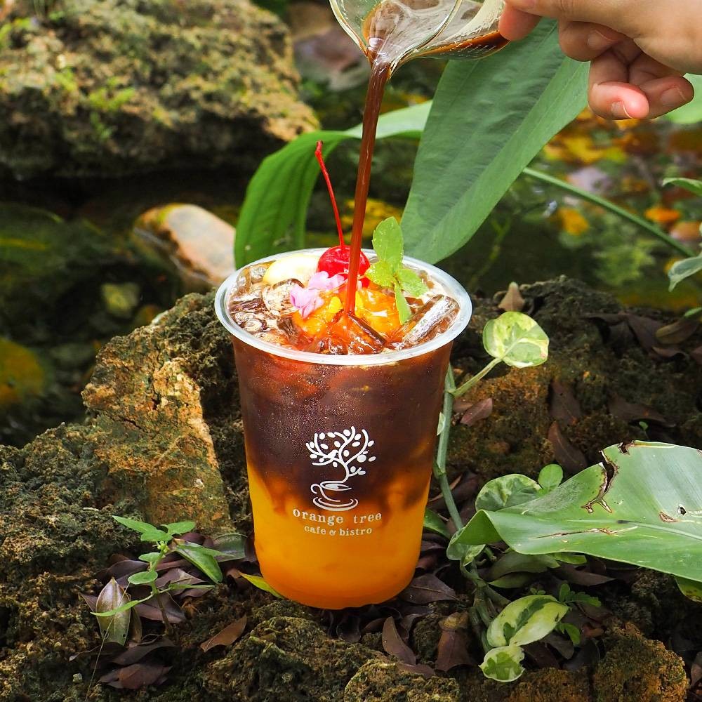 ร้าน Orange Tree Cafe & Bistro | รีวิวร้านอาหาร - Wongnai