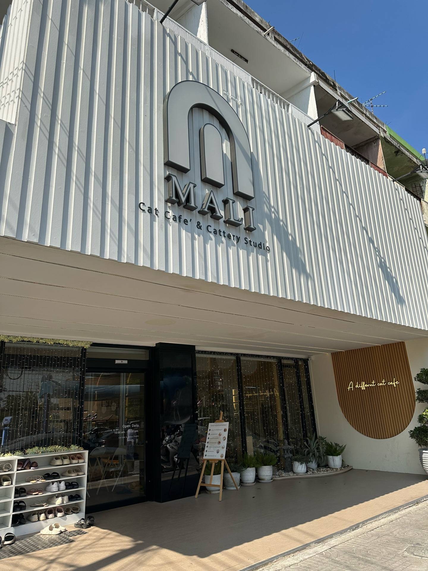 รูป Mali (cat cafe’ & Cattery studio) Bangsean