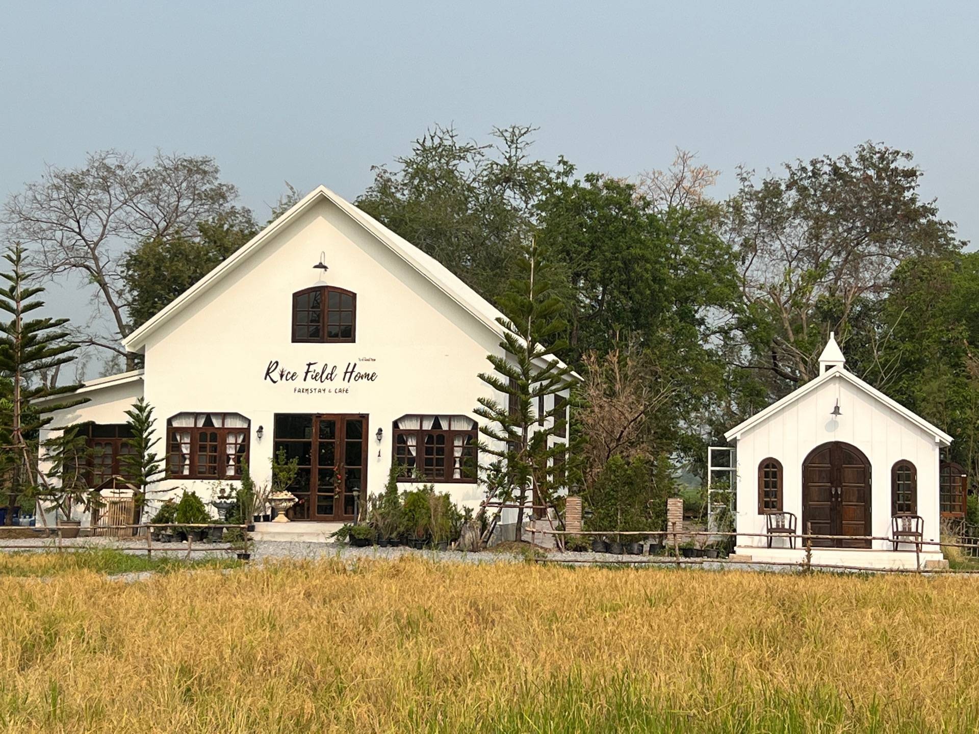 ร้าน Rice Field Home Farm Stay & Cafe Saraburi | รีวิวร้านอาหาร - Wongnai