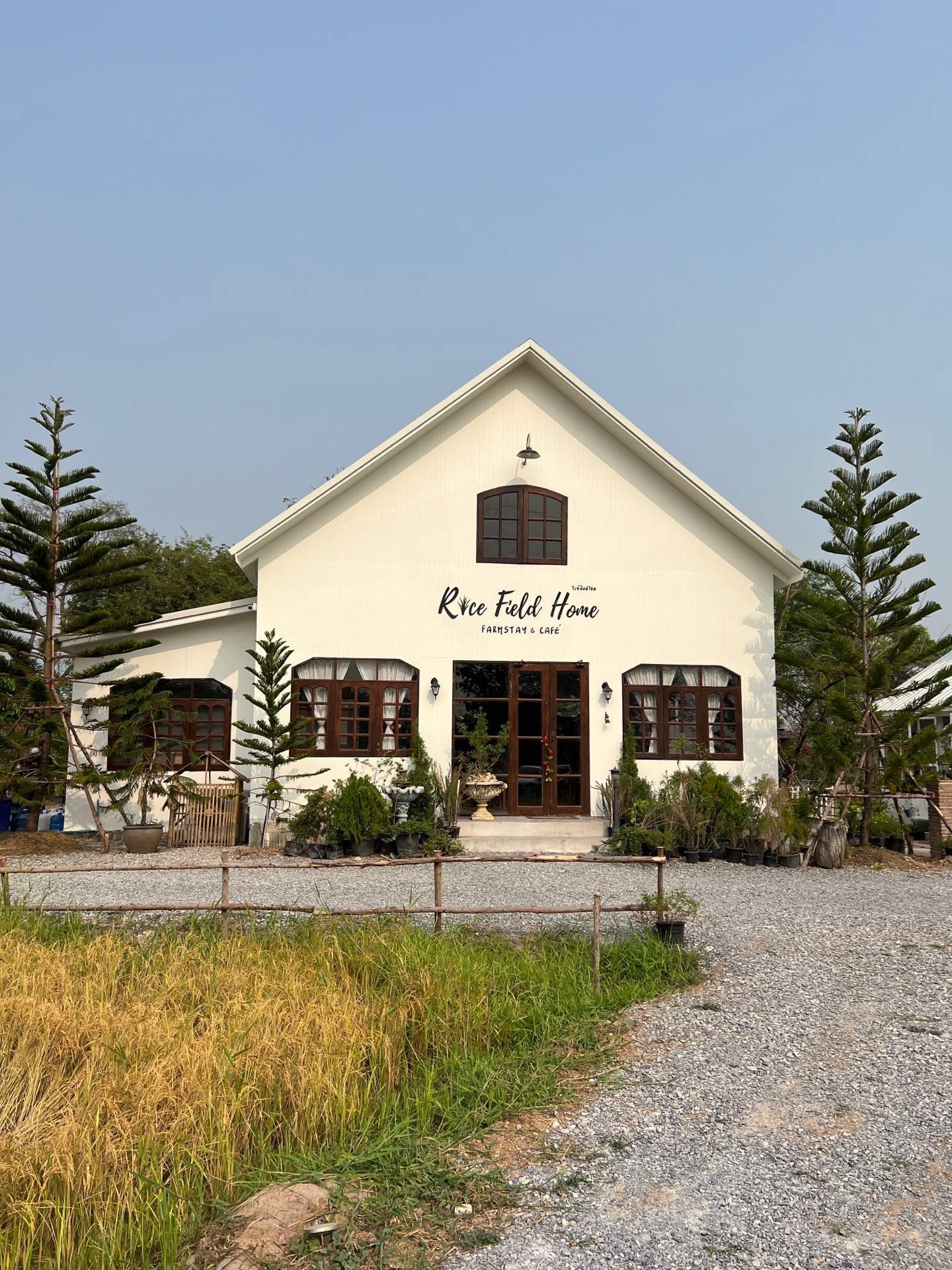 ร้าน Rice Field Home Farm Stay & Cafe Saraburi | รีวิวร้านอาหาร - Wongnai