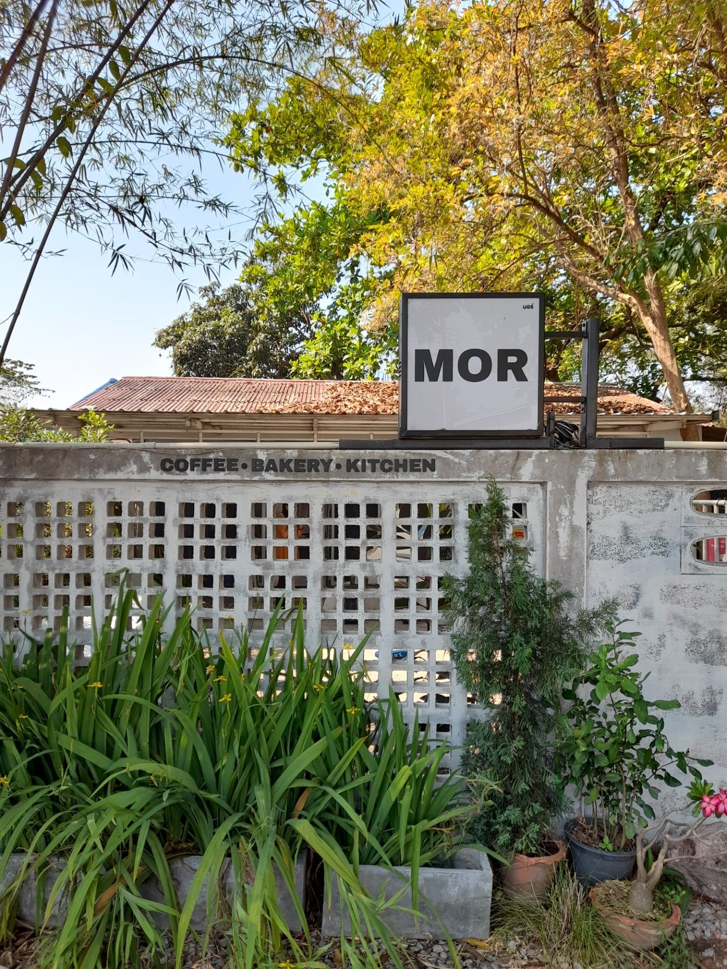 รีวิว MOR coffee • bakery • kitchen - บังเอิญไปเจอร้านกาแฟลับ ๆ ย่านทางไปหุบกะพง นอกจาก ...