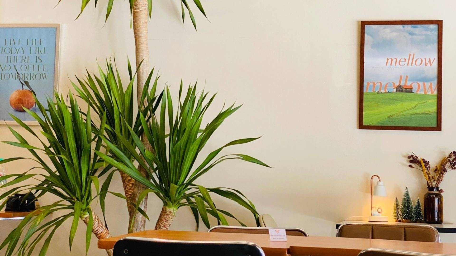 Mellow Mellow Cafe ขอนแก่น - สั่งอาหารเดลิเวอรี | Wongnai x LINE MAN