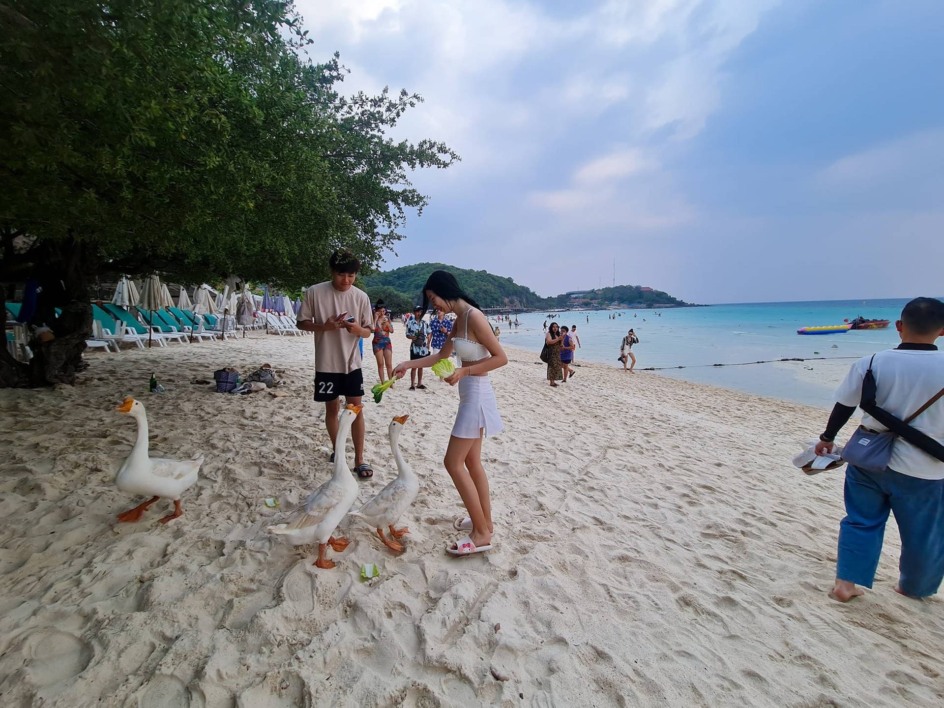 รูป หาดเทียน เกาะล้าน