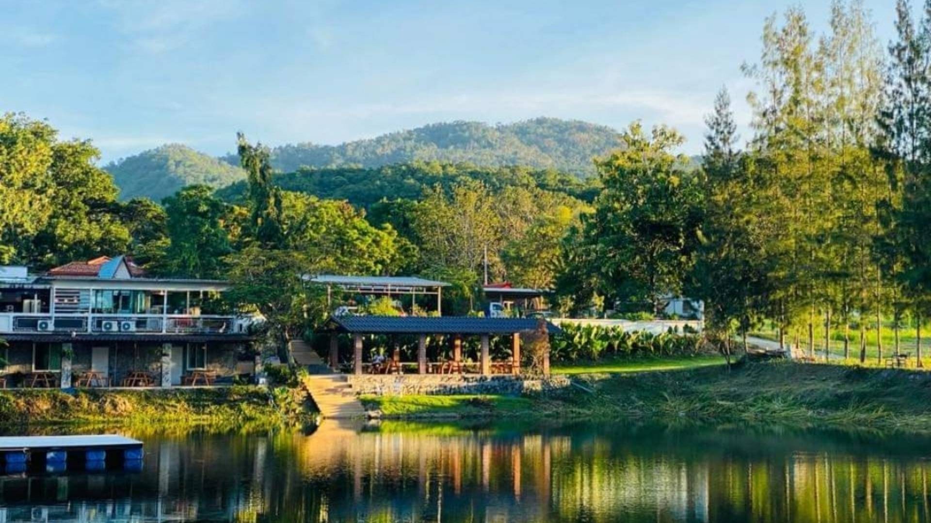 The Pine Cafe x เตาอบขนม - สั่งอาหารเดลิเวอรี | Wongnai x LINE MAN