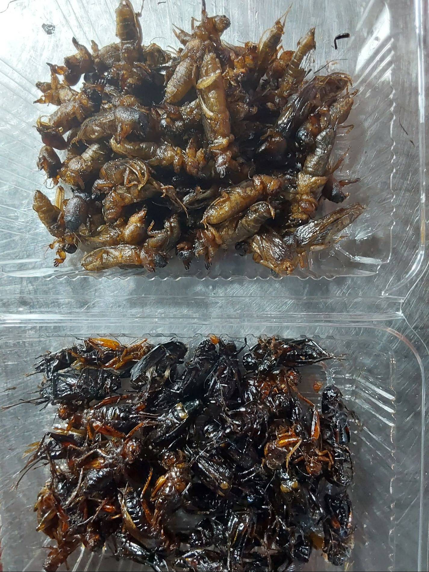 ร้าน ร้าแมลงทอดกรอบ โต้รุ่งสระแก้วลพบุรี | รีวิวร้านอาหาร