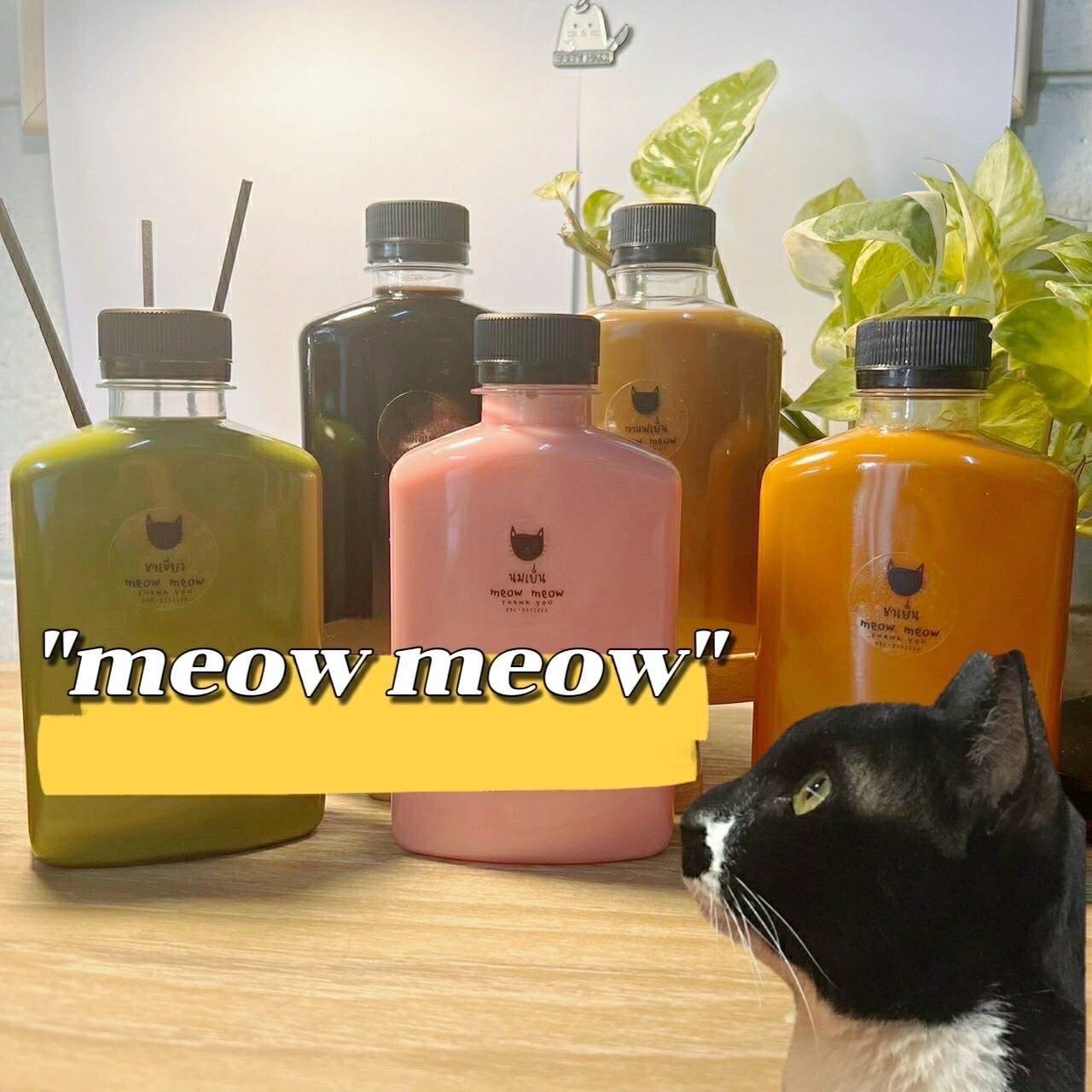 ร้าน Meow meow coffee | รีวิวร้านอาหาร