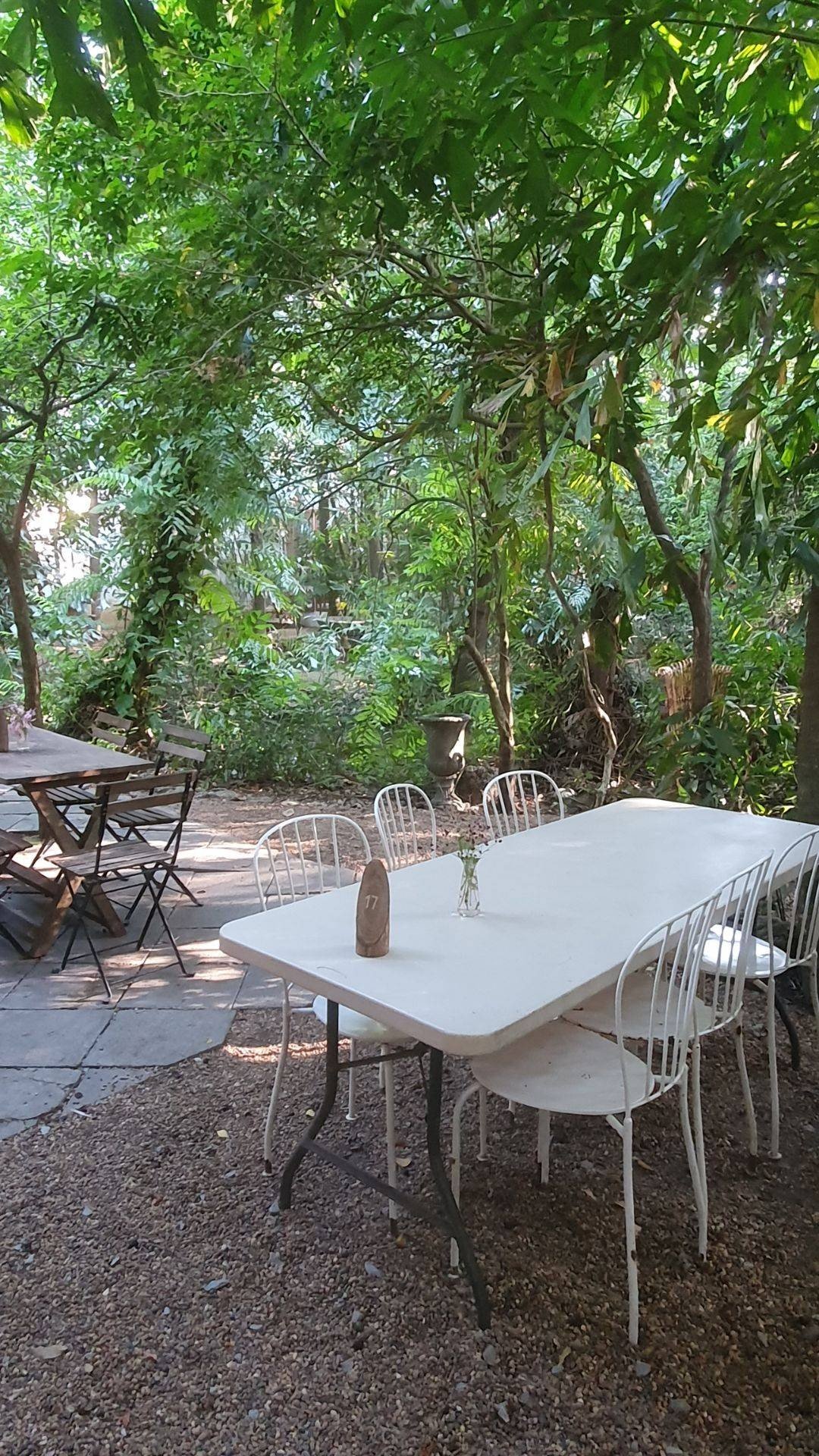 รูป Little Tree Garden บ้านใหม่