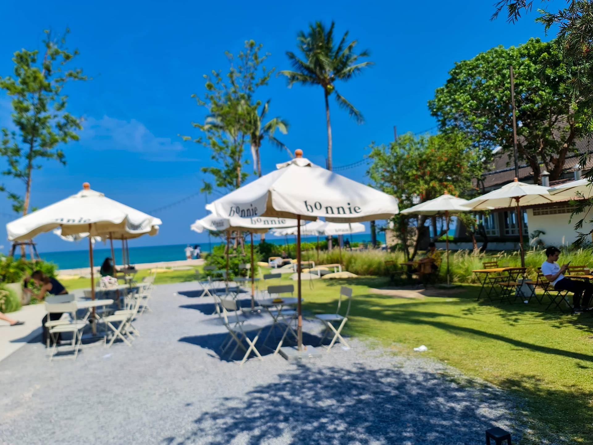 รูป bonnie on the beach