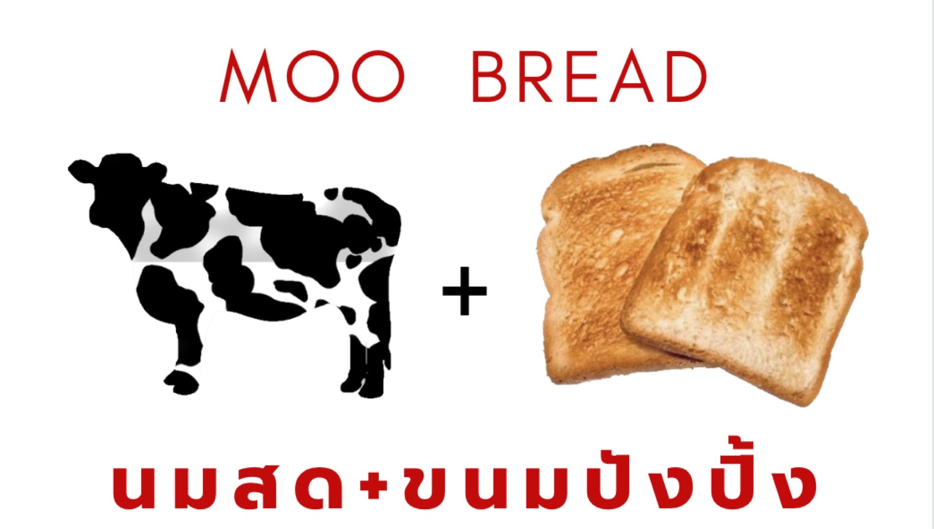 ร้าน ต้อมนมสด-Moo Bread | รีวิวร้านอาหาร