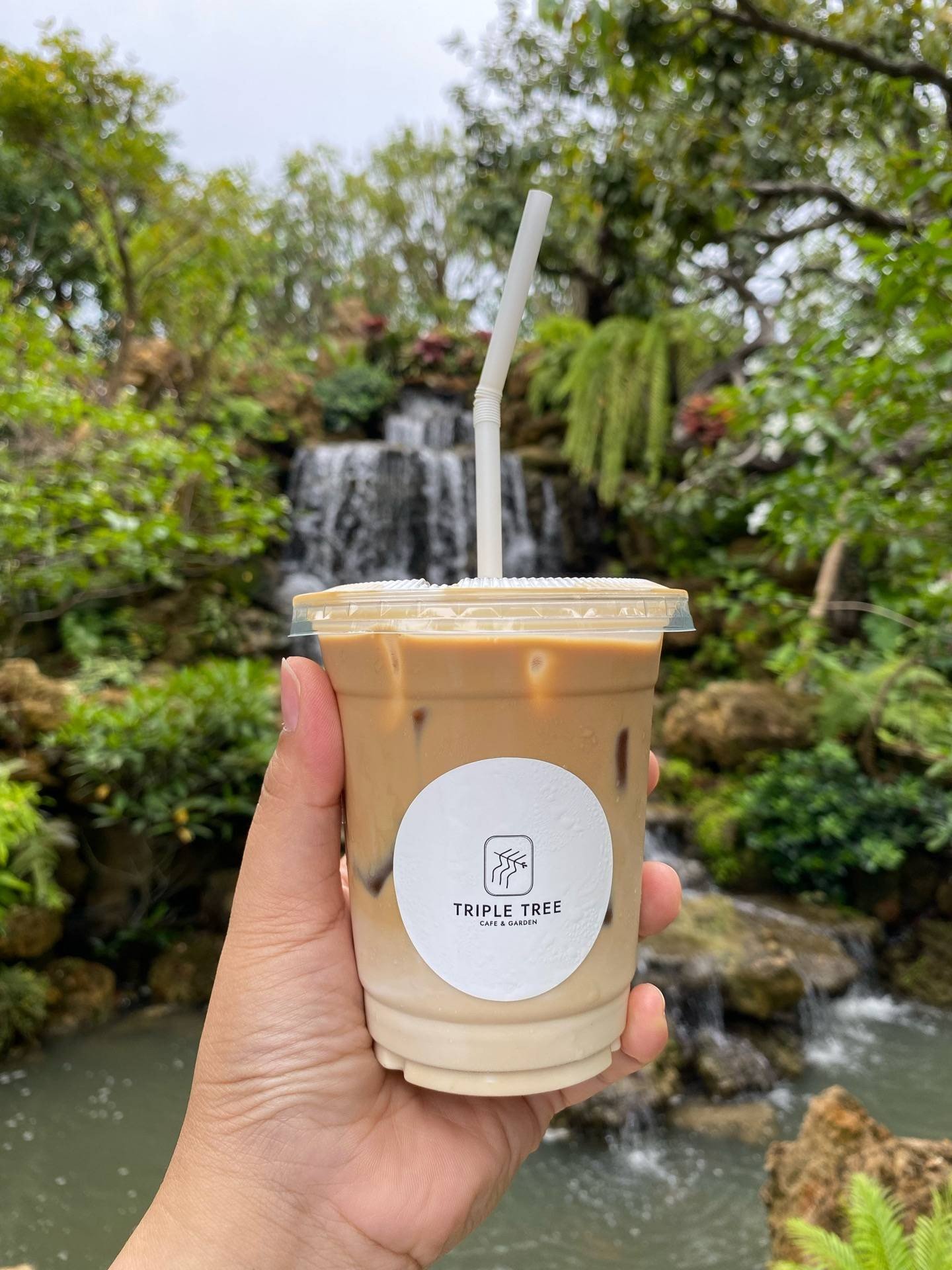 รูป ทริปเพิ้ล ทรี คาเฟ่ แอนด์ การ์เด้น