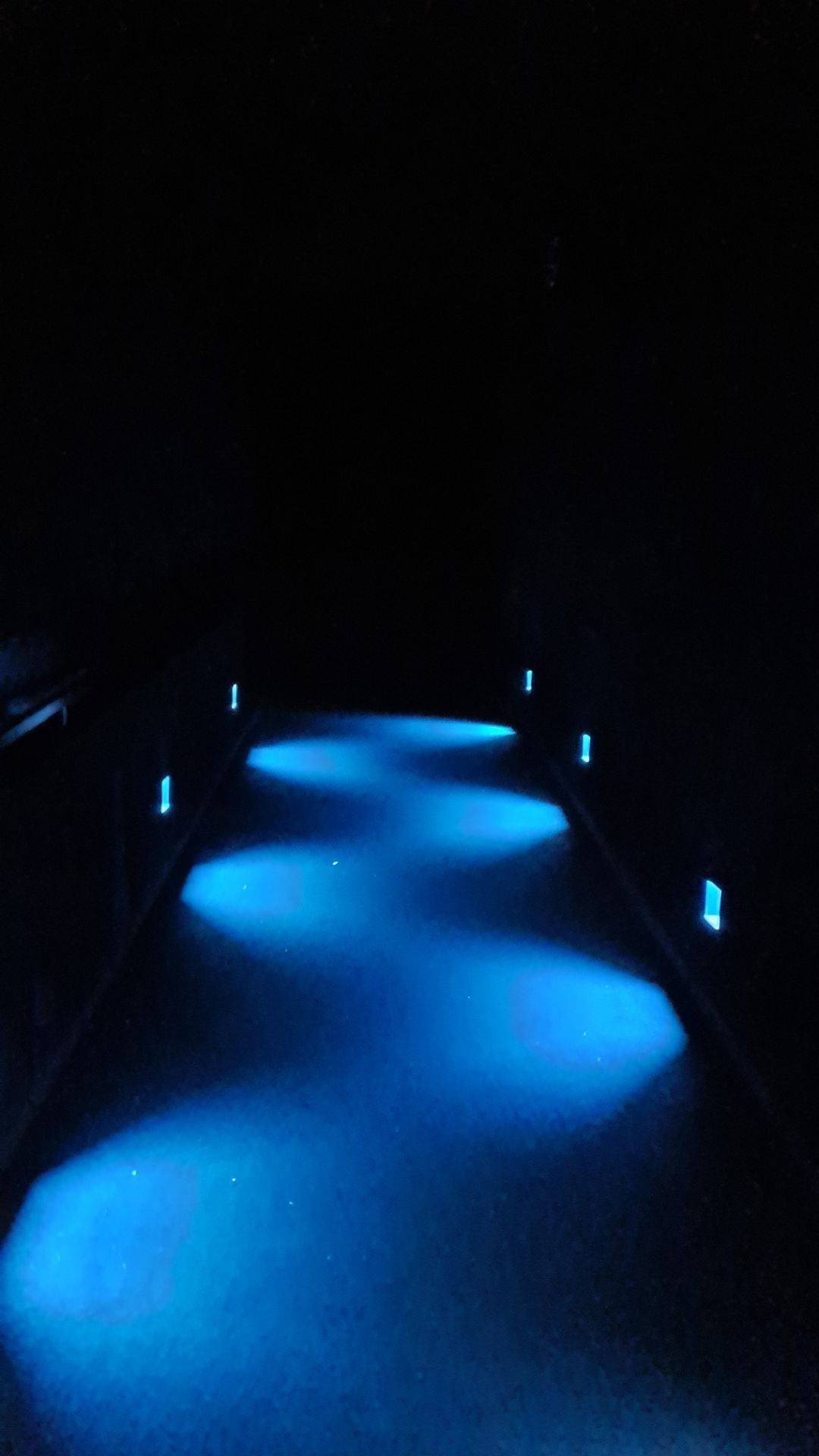 รีวิว teamLab Planets - Immersive Digital Art