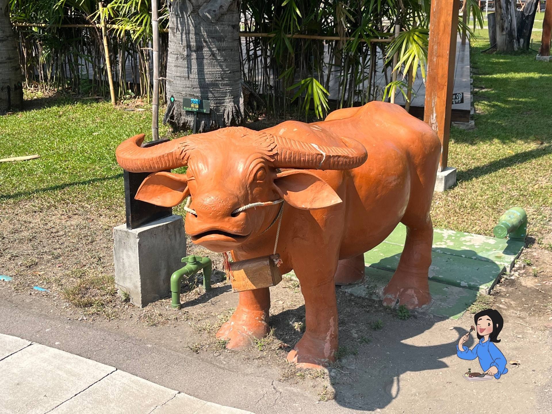 รีวิว The Buffalo Cafe' - คาเฟ่น้องควายที่น่าจะเหมาะกับการมาเที่ยวหน้าหนาว