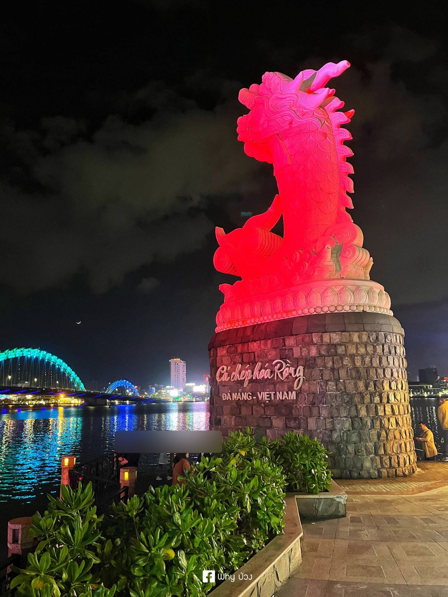 Dragon Carp (Merlion Da Nang) - รีวิวสถานที่ท่องเที่ยว - Wongnai