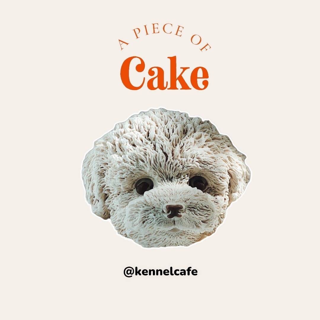 ร้าน Kennel cafe The puffin | รีวิวร้านอาหาร - Wongnai