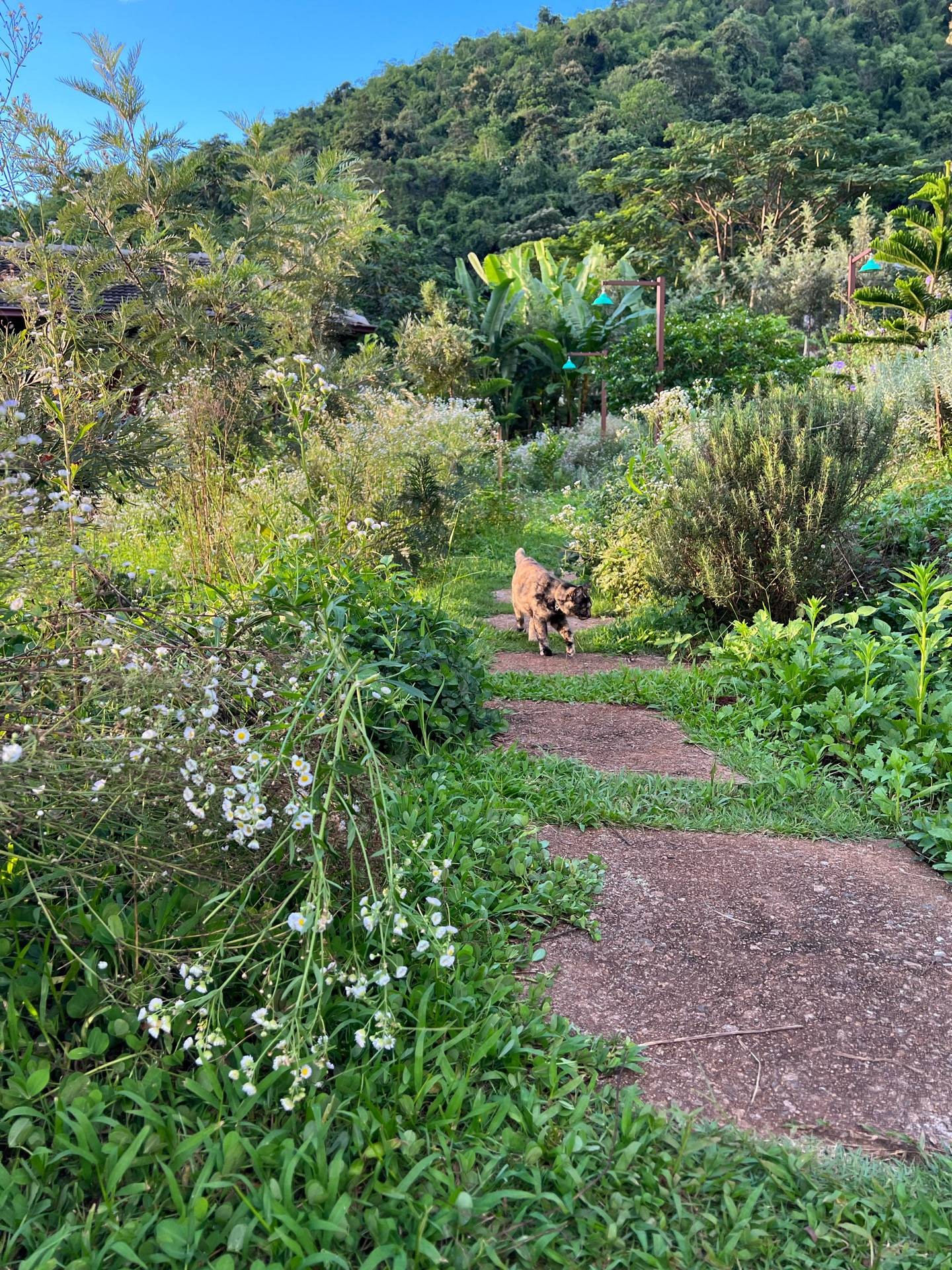 รูป Mori Natural Farm