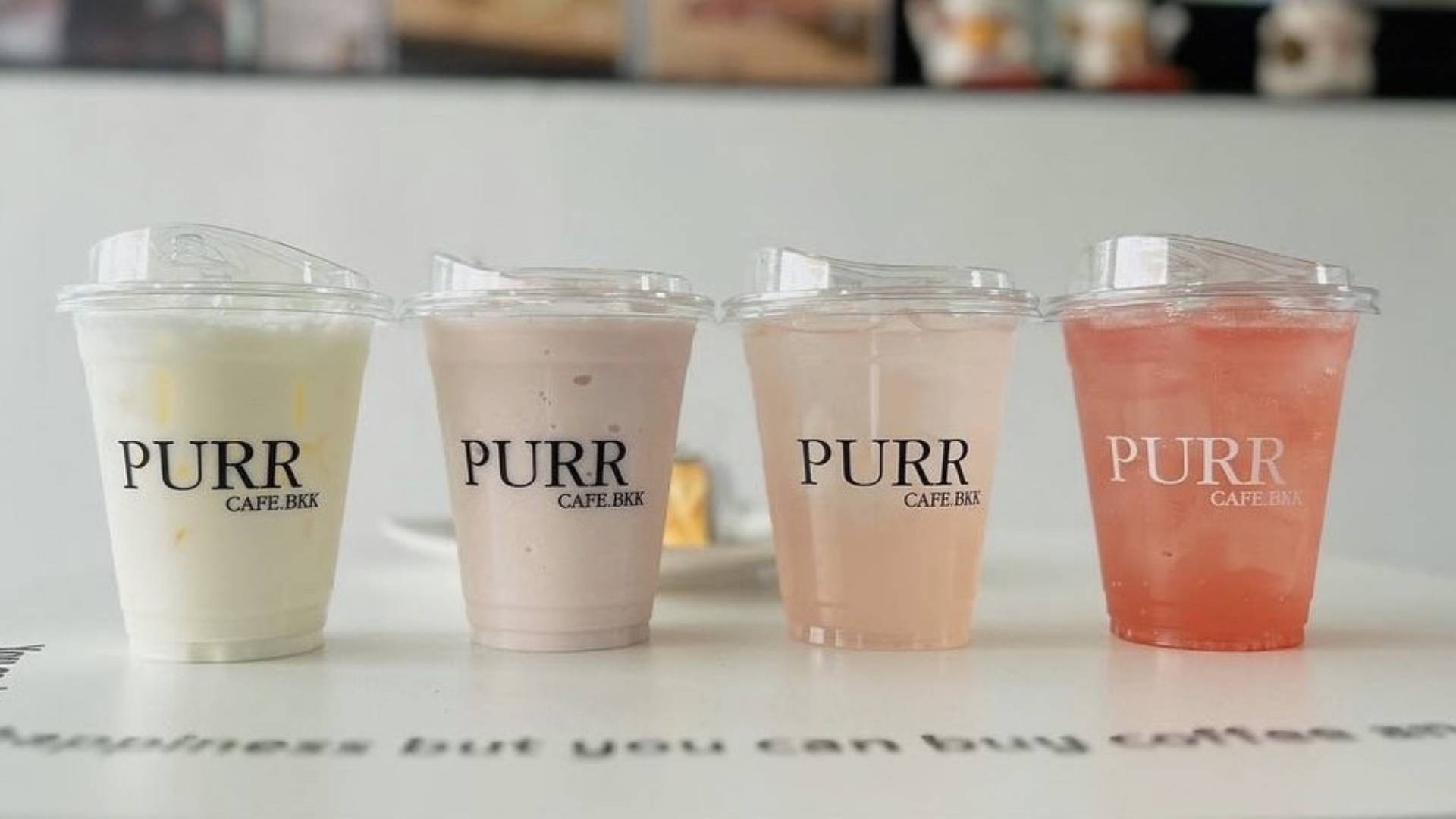 ร้าน Purr cafe coffee ซอยศรีอุดม | รีวิวร้านอาหาร