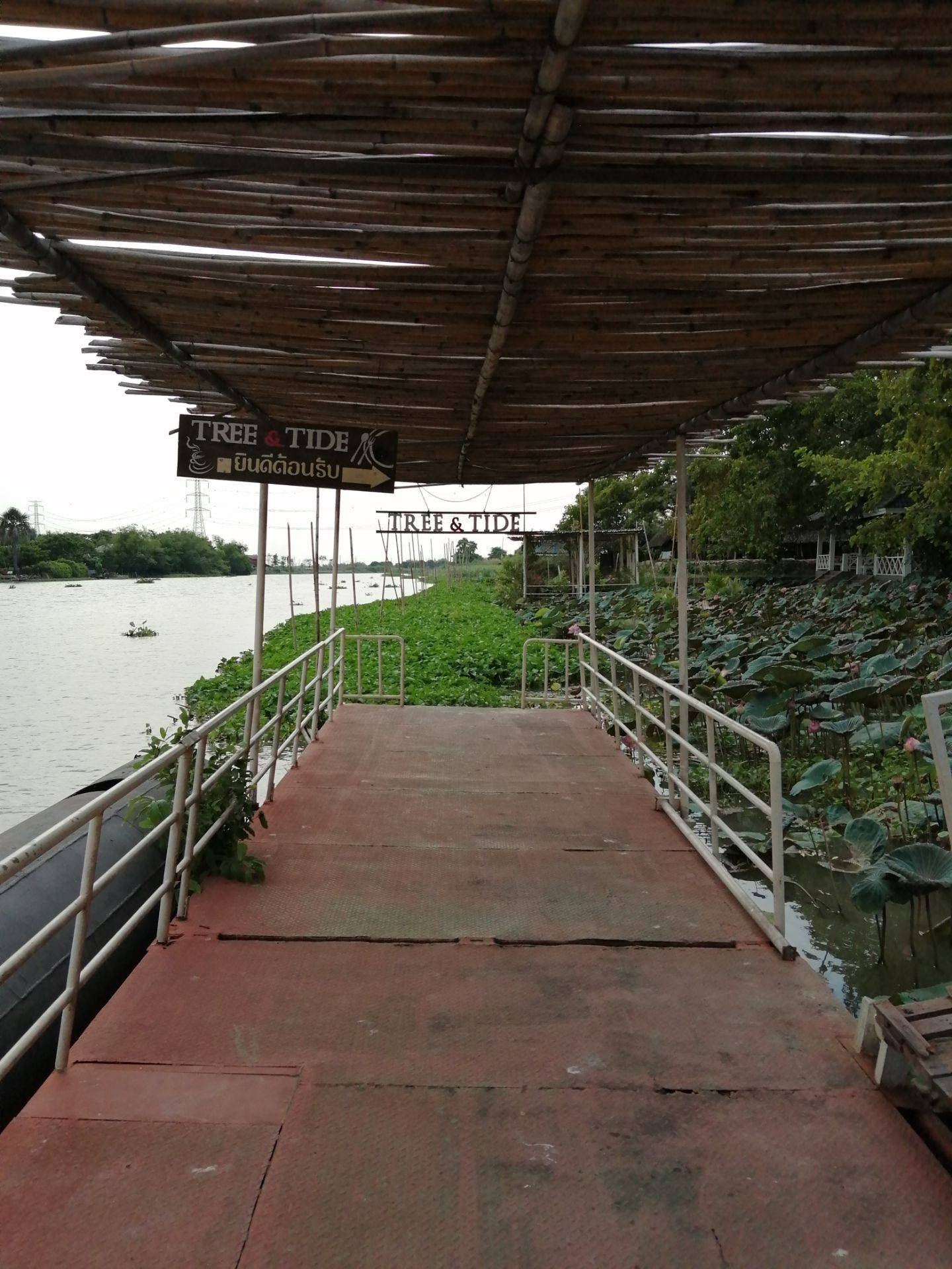 รีวิว Tree & Tide Riverside - มาใช้บริการวันสุดท้ายพอดี