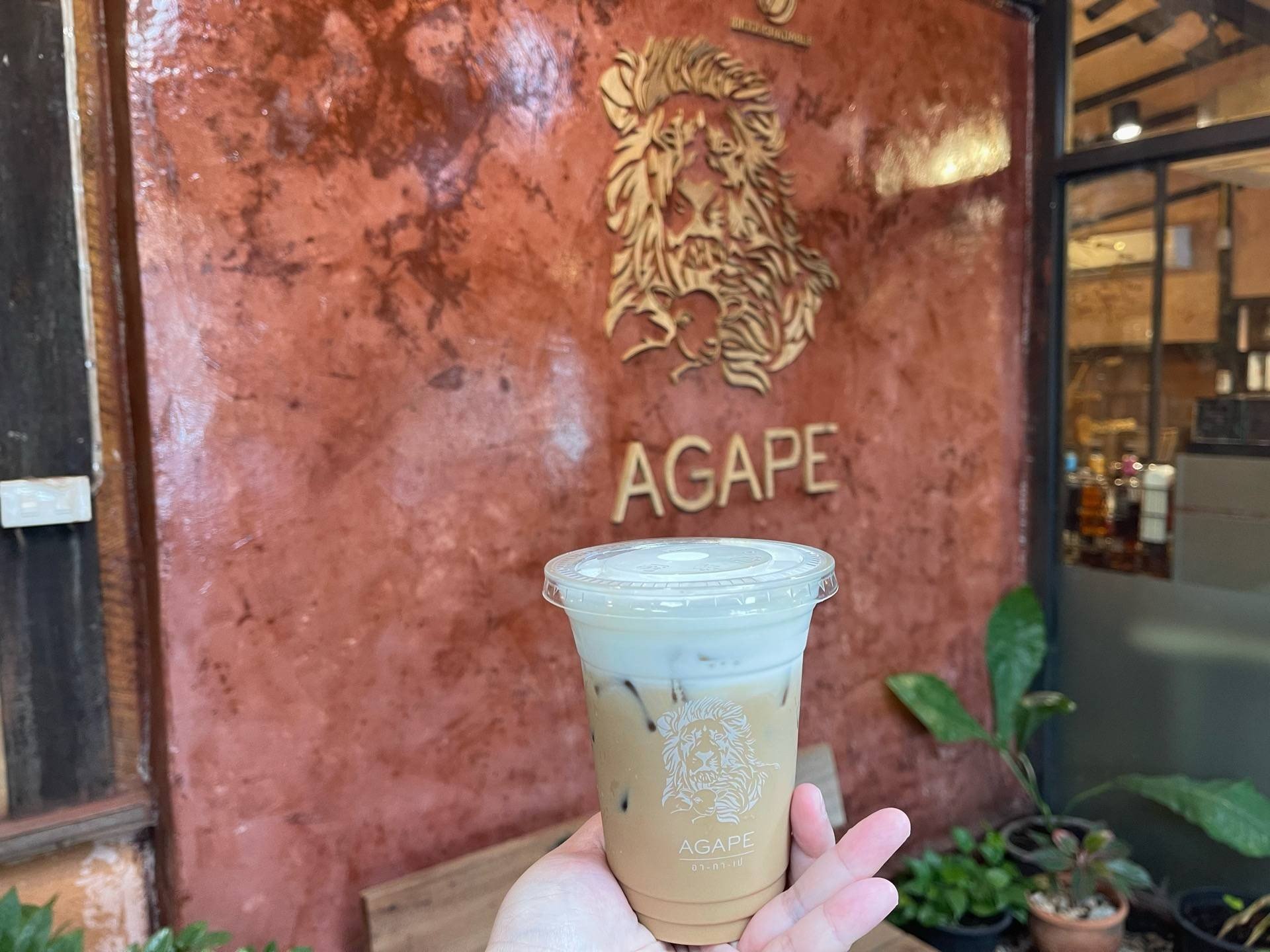 รีวิว Agape Coffee - Agape cafe