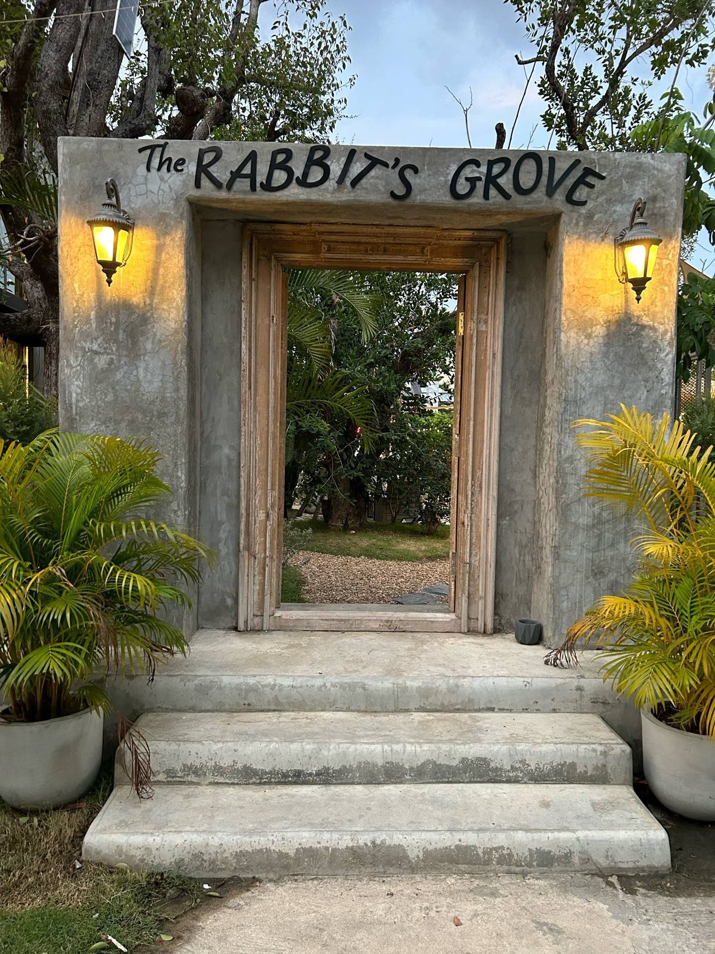 รีวิว The Rabbit’s Grove - The rabbits grove