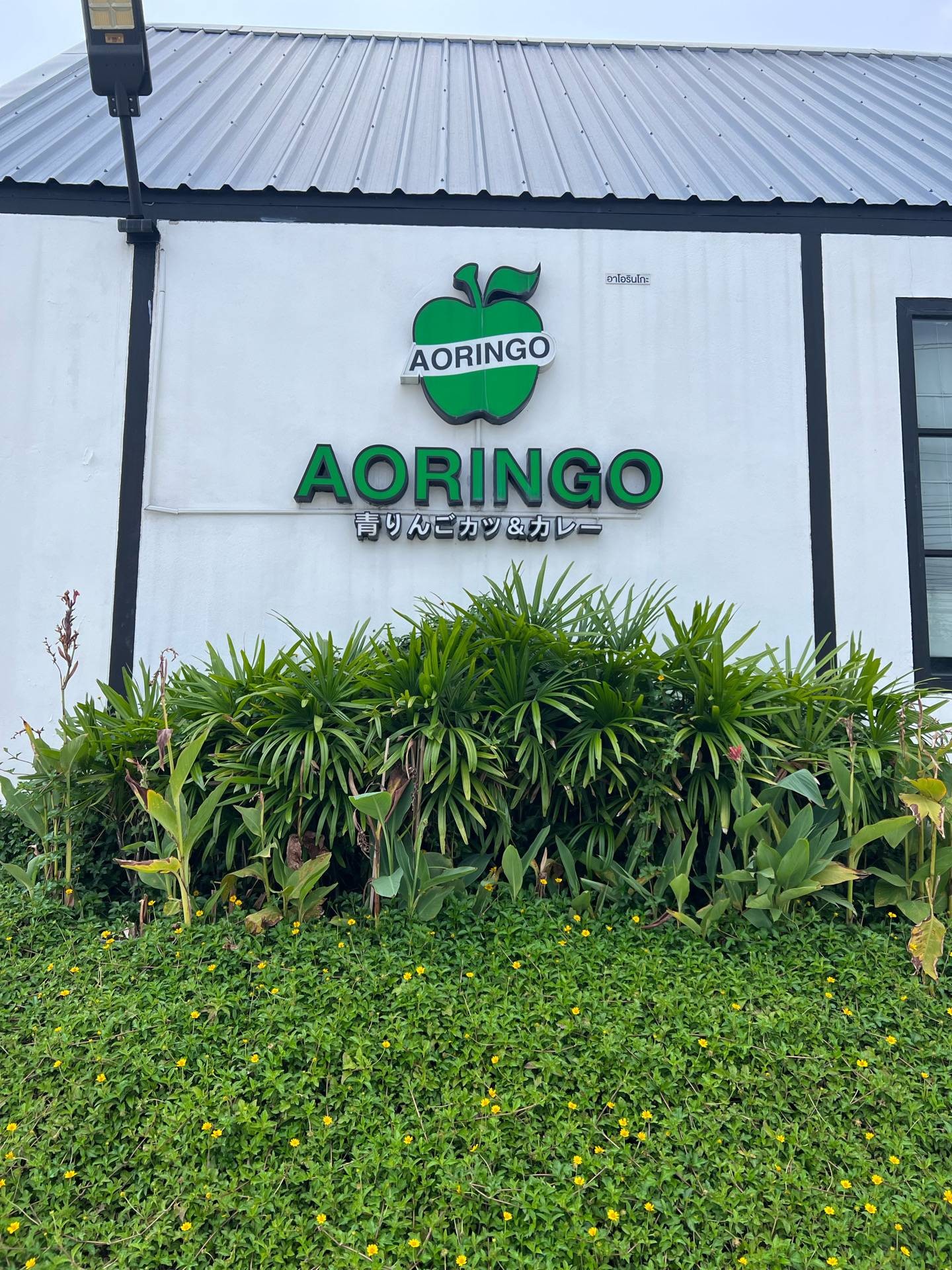 รีวิว Aoringo Katsu & Curry Rayong ระยอง - แกงกะหรี่โฮมเมดแสนอร่อย