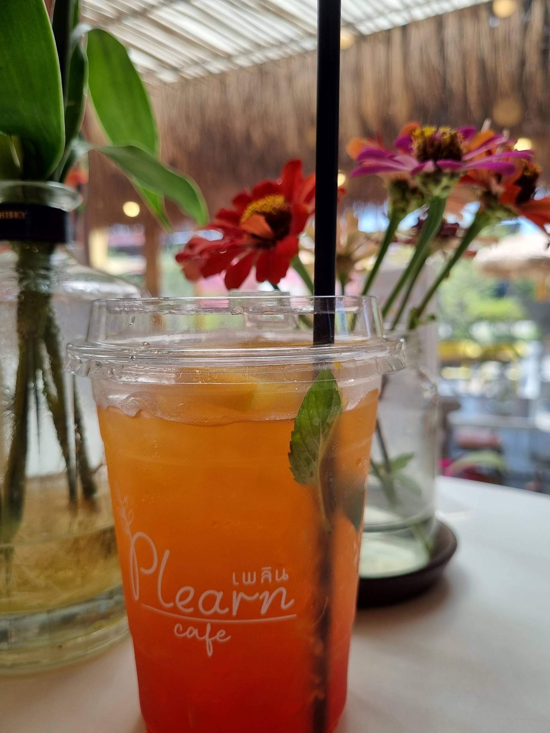 รีวิว Plearn Cafe Bangpu - เพลิน คาเฟ่ บางปู บางปู - ร้านดีมาก บรรยากาศ ...