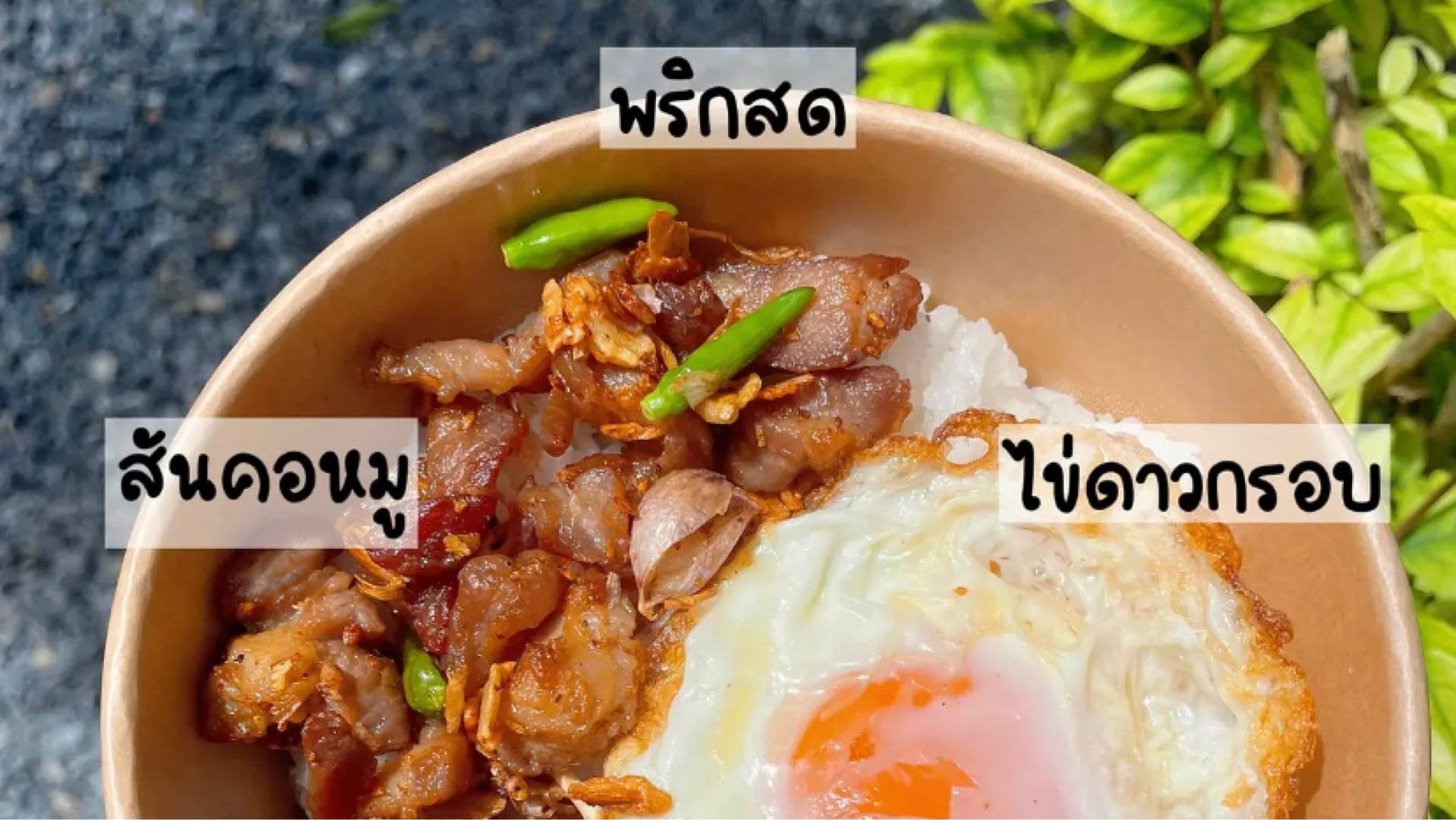 ข้าวหนมPa Chin - สั่งอาหารเดลิเวอรี | Wongnai x LINE MAN