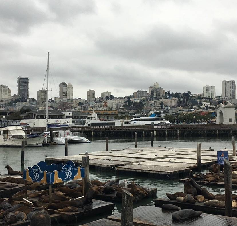 Pier 39 - รีวิวสถานที่ท่องเที่ยว