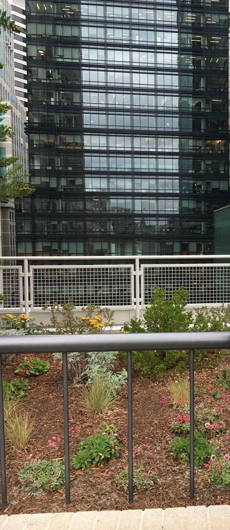 Salesforce Park - รีวิวสถานที่ท่องเที่ยว