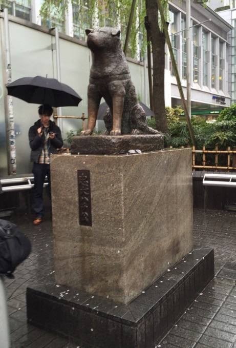 รีวิว Hachiko Memorial Statue - Hachiko statue