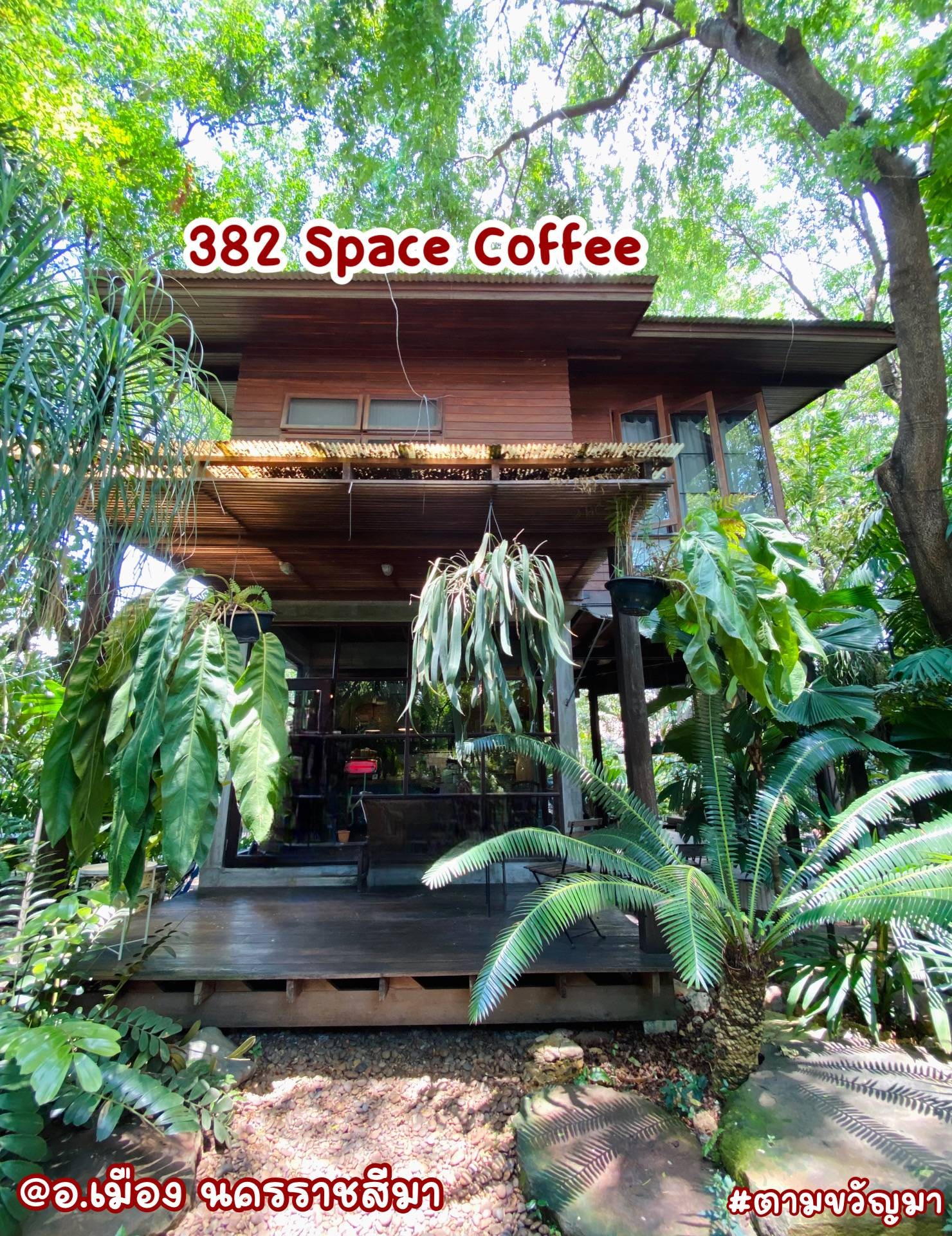 รูป 382 SPACE COFFEE & BAKERY