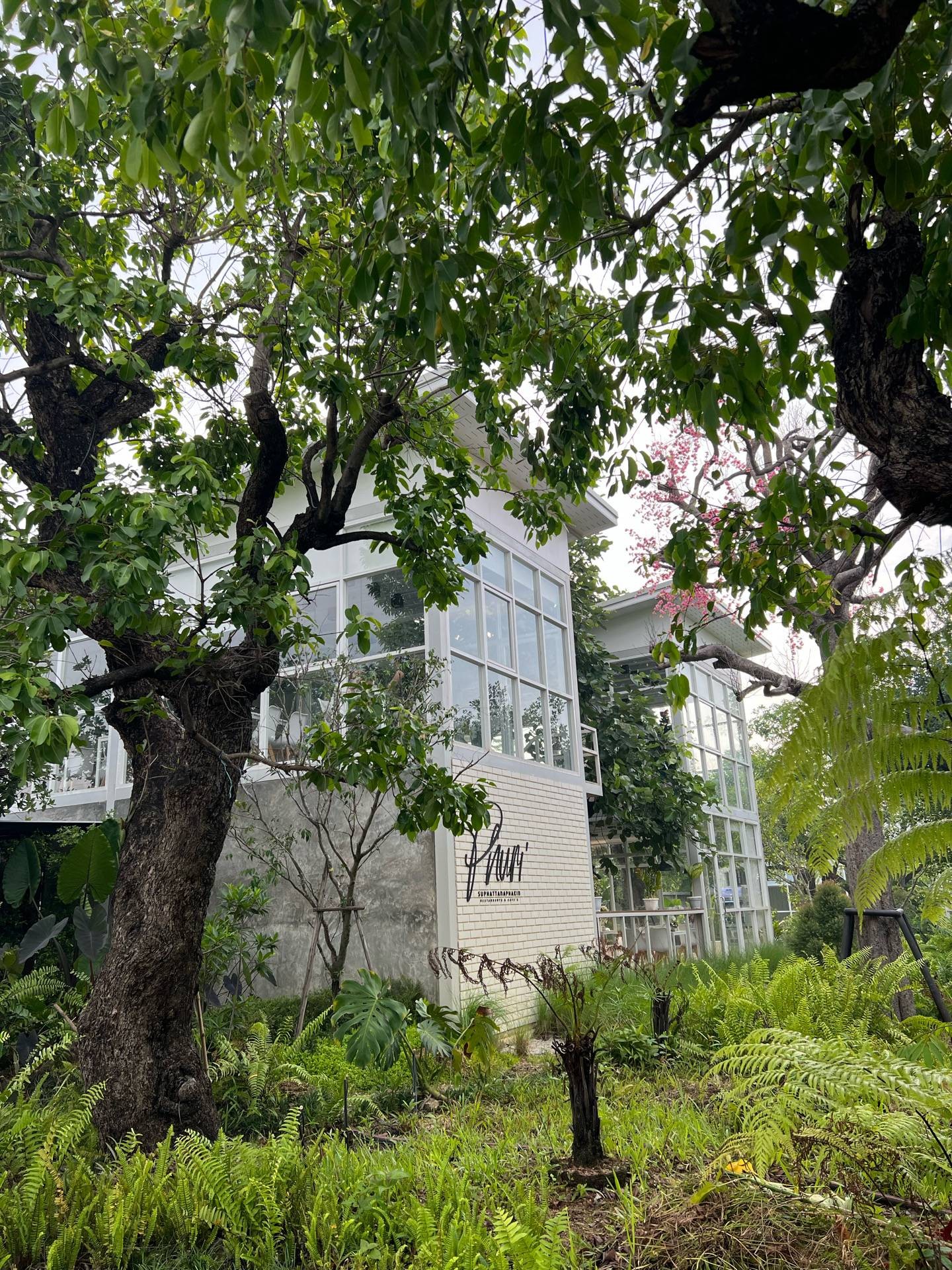 รีวิว Phuri cafe’ Bowin - ภูริคาเฟ่ บ่อวิน