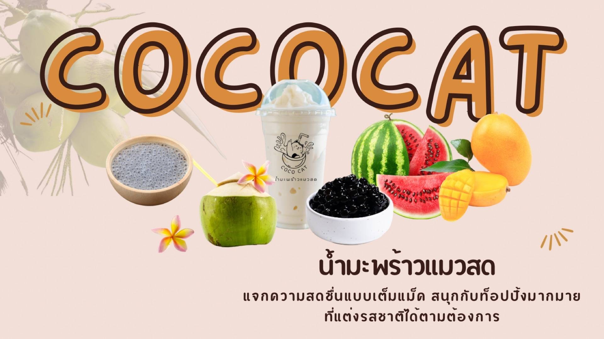 Cococat น้ำมะพร้าวแมวสด - สั่งอาหารเดลิเวอรี | Wongnai x LINE MAN