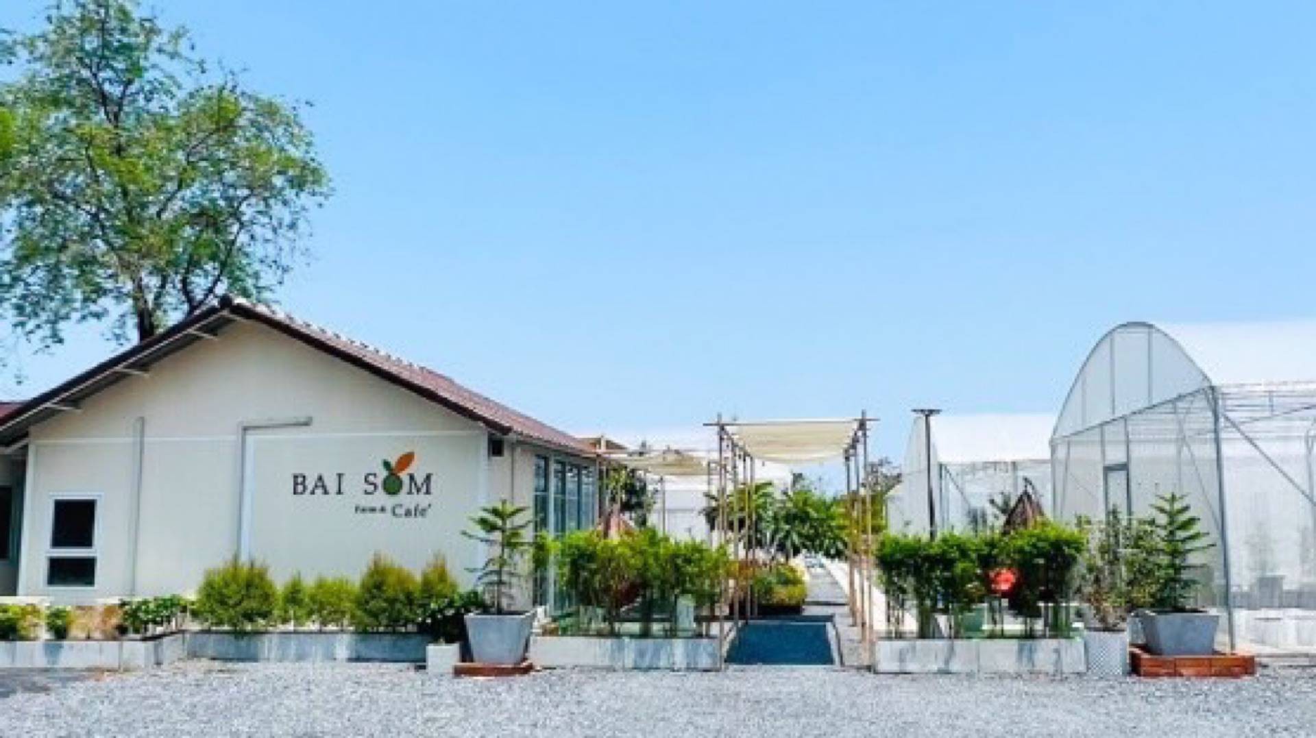 Baisom Farm & Cafe’(Bangpoo) - - สั่งอาหารเดลิเวอรี | Wongnai x LINE MAN