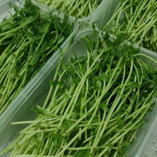 ร้าน CHADA FARM | รีวิวร้านอาหาร