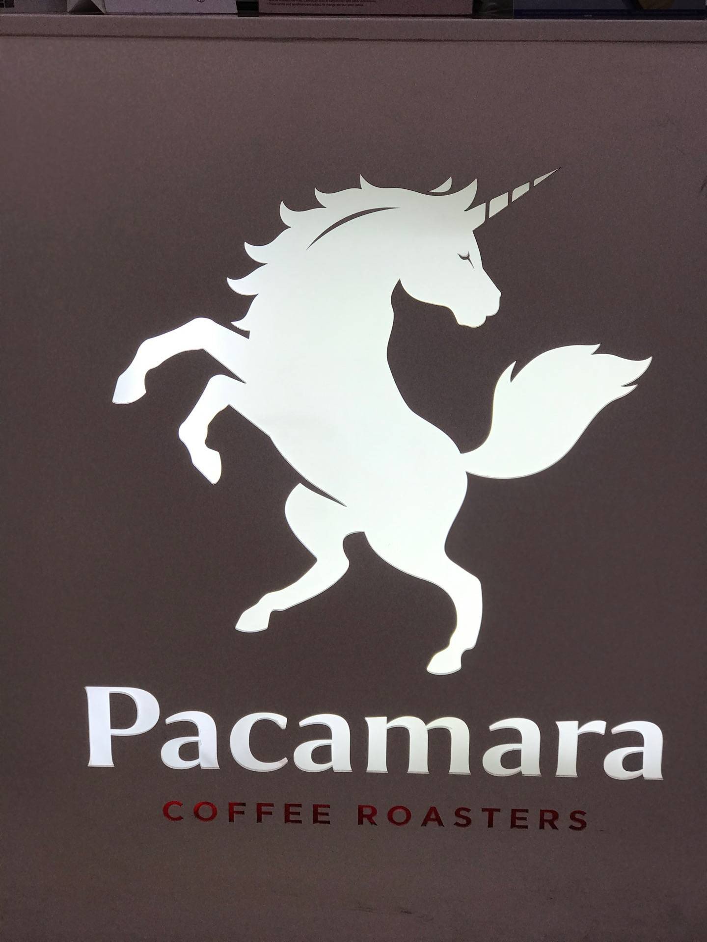 รีวิว PACAMARA เซ็นทรัลลาดพร้าว - Pacamara สายพันธุ์ไทย