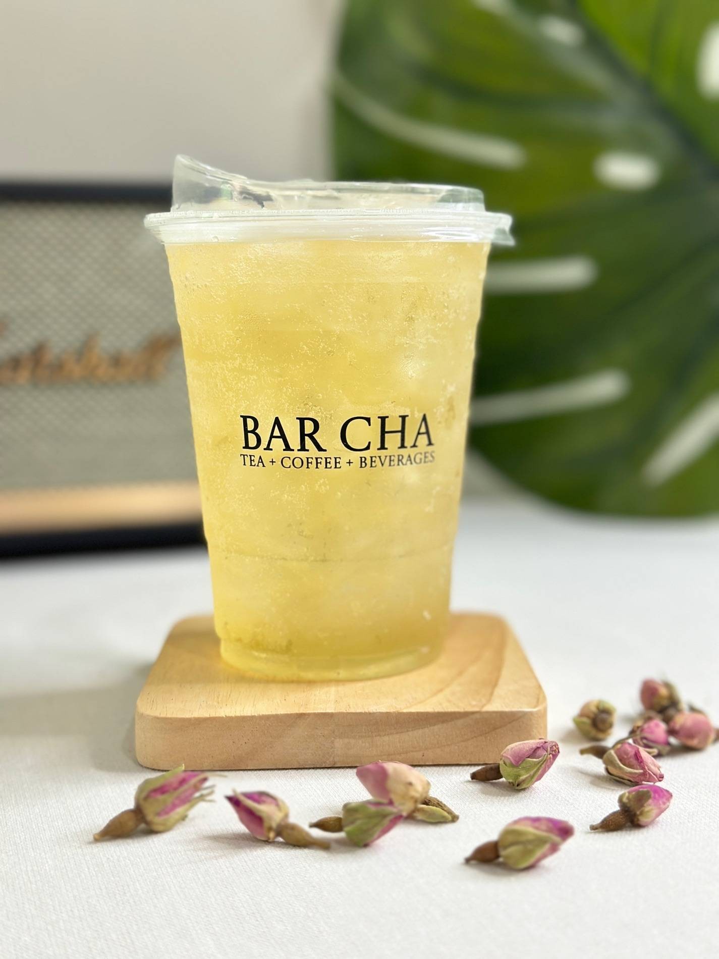 รูป BAR CHA (บาร์ชา) พฤกษา15