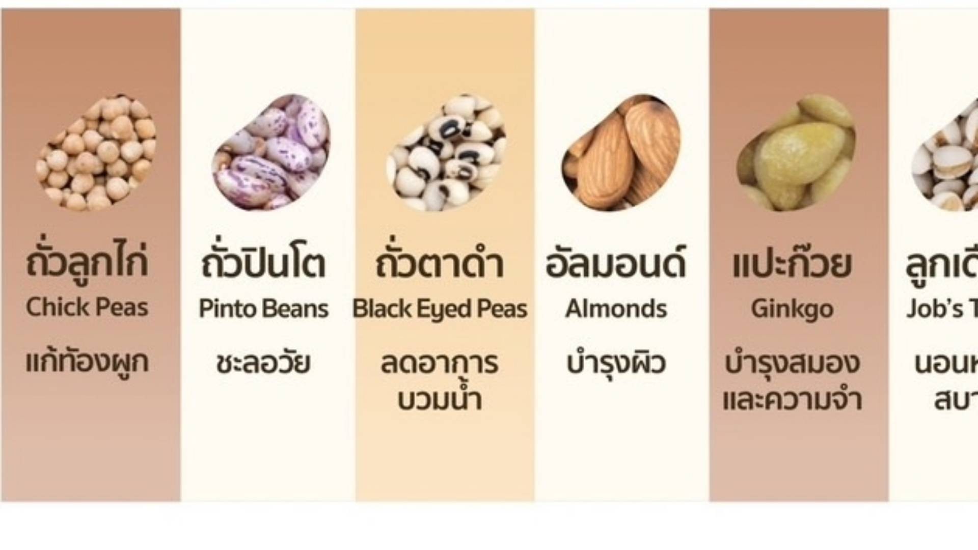 Rhino Beans ถั่วปั่นเพื่อสุขภาพ สาขาสยาม - สั่งอาหารเดลิเวอรี | Wongnai ...