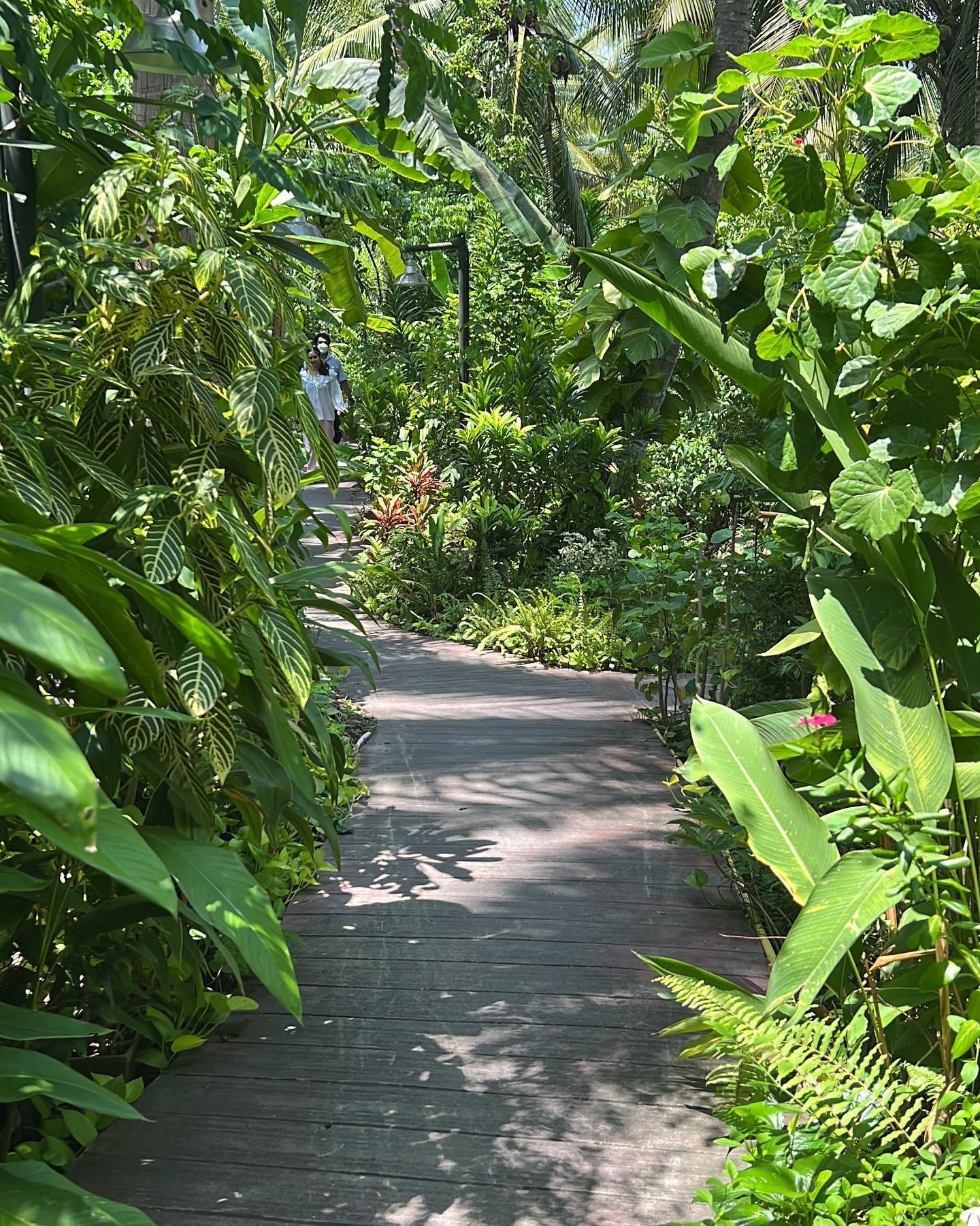 รีวิว Gansdal - ขนมอร่อยมากกกกจนกลายเป็นร้านประจำ