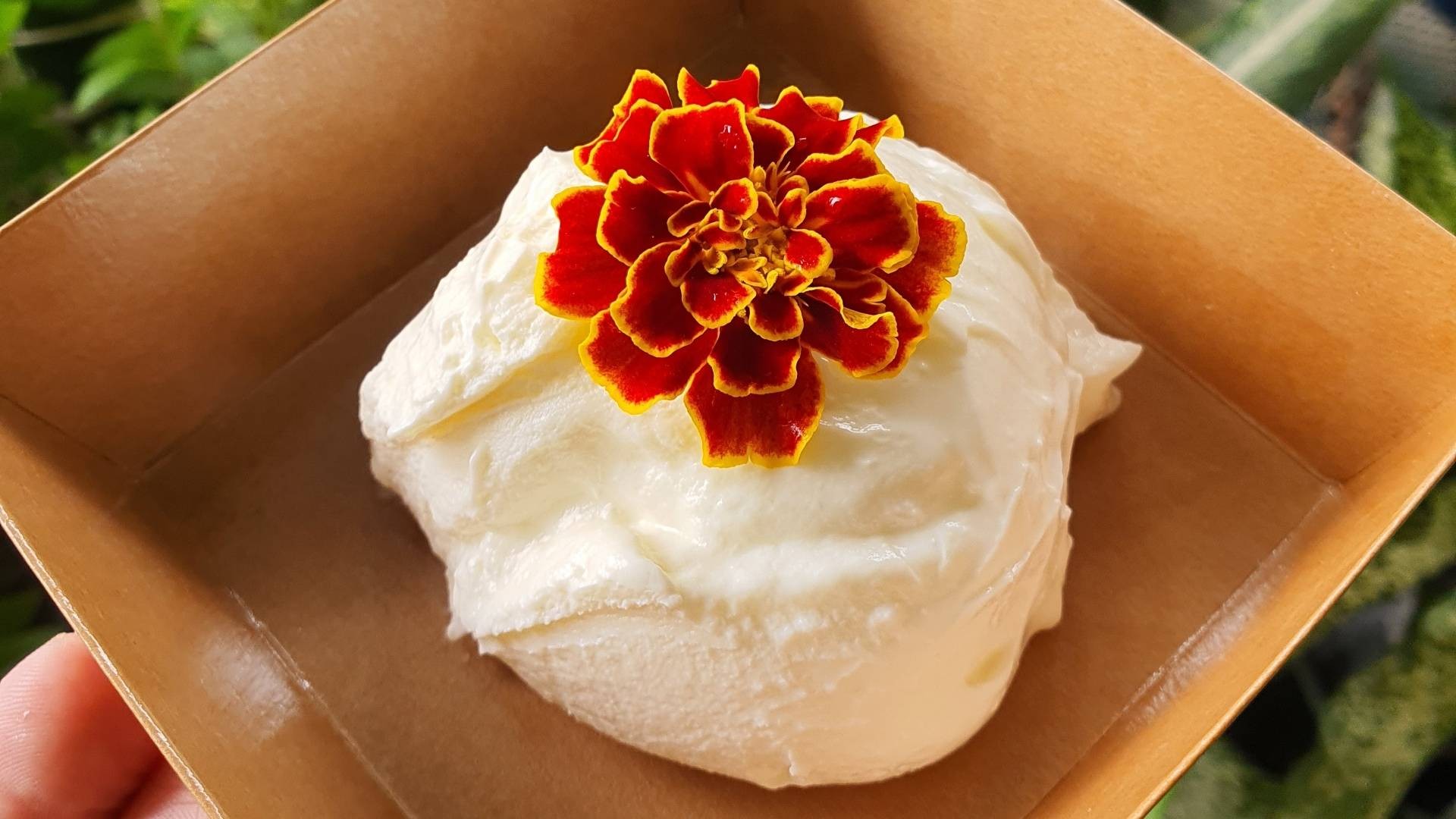 [รีวิว] ร้าน TWENTY GRAMS. HOMEMADE CAFE ไอลีฟทาวน์ | เมนูแนะนำ รูปภาพ ราคา