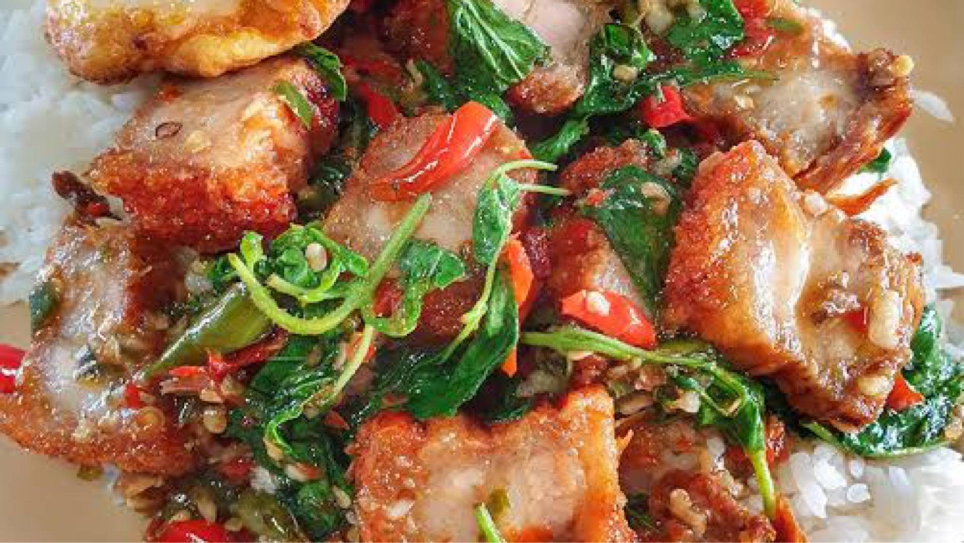 อ้วนคุง บางใหญ่ ข้าวไก่ทอด กระเพราหมูกรอบ - สั่งอาหารเดลิเวอรี ...