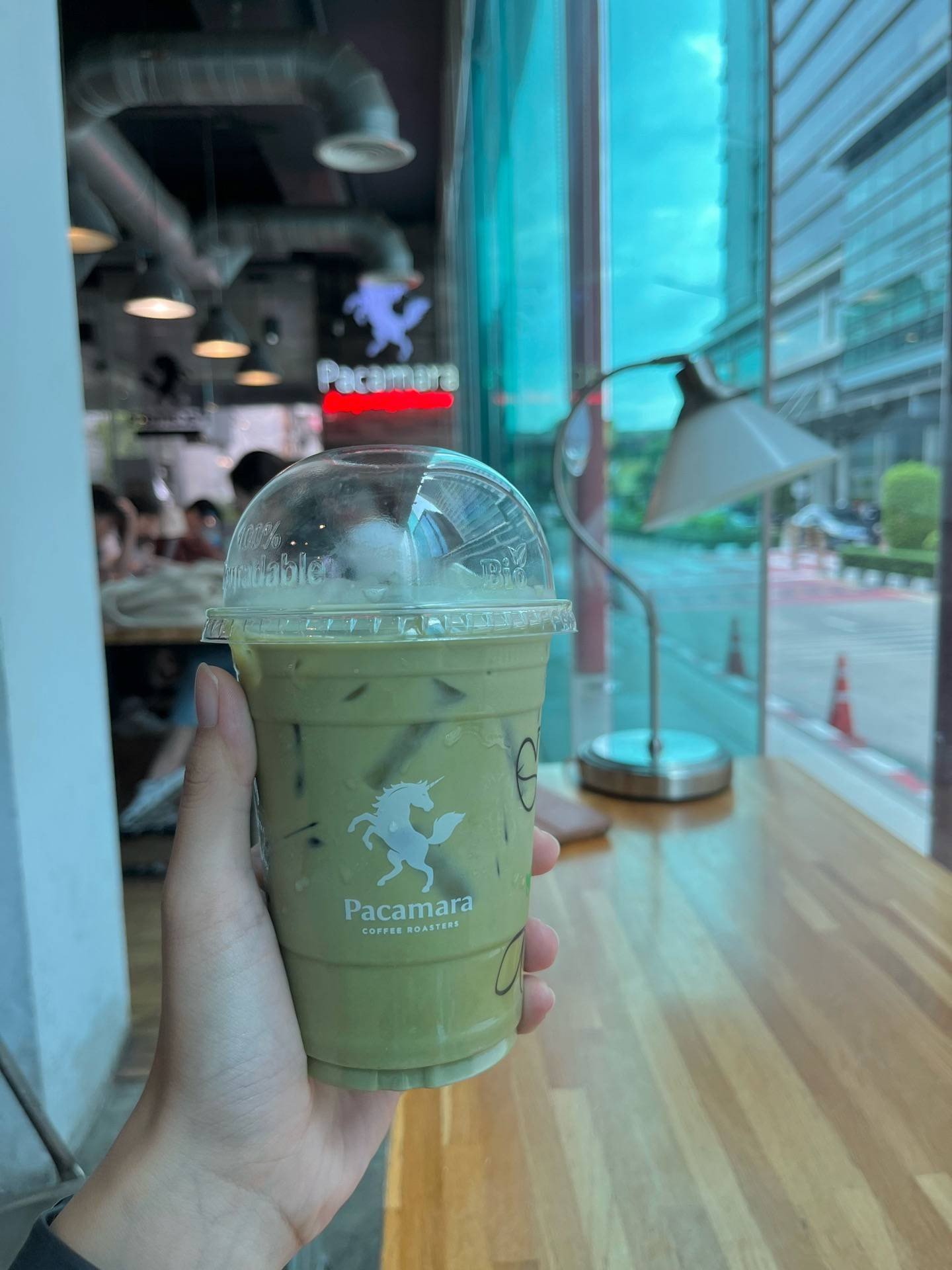 Iced Japanese Matcha Latte • ถือให้เห็นขนาดแก้ว ร้าน PACAMARA หอสมุดคณะ ...