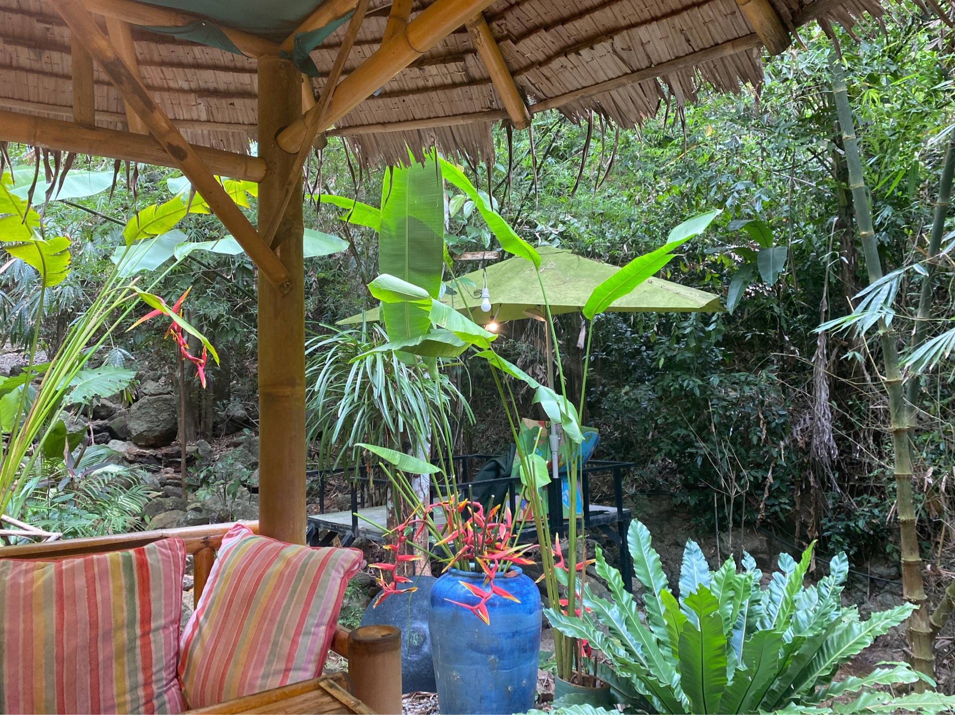 รีวิว สวนลุงรงค์ Suan.lung.rong - ราคาอาหารหลักร้อย วิวหลักล้าน ...