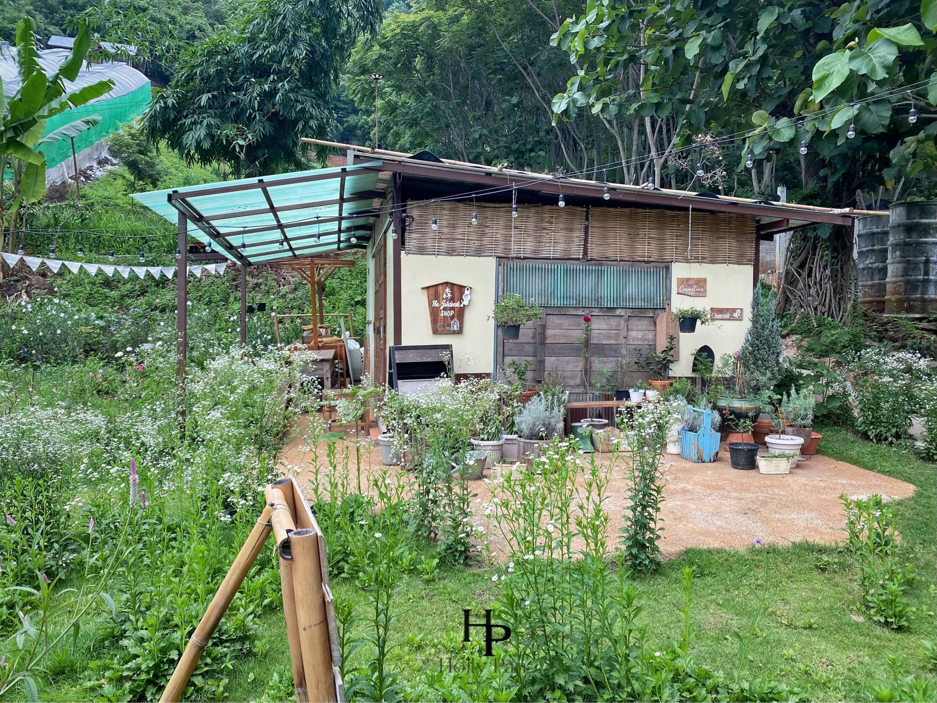 รูป Mori Natural Farm